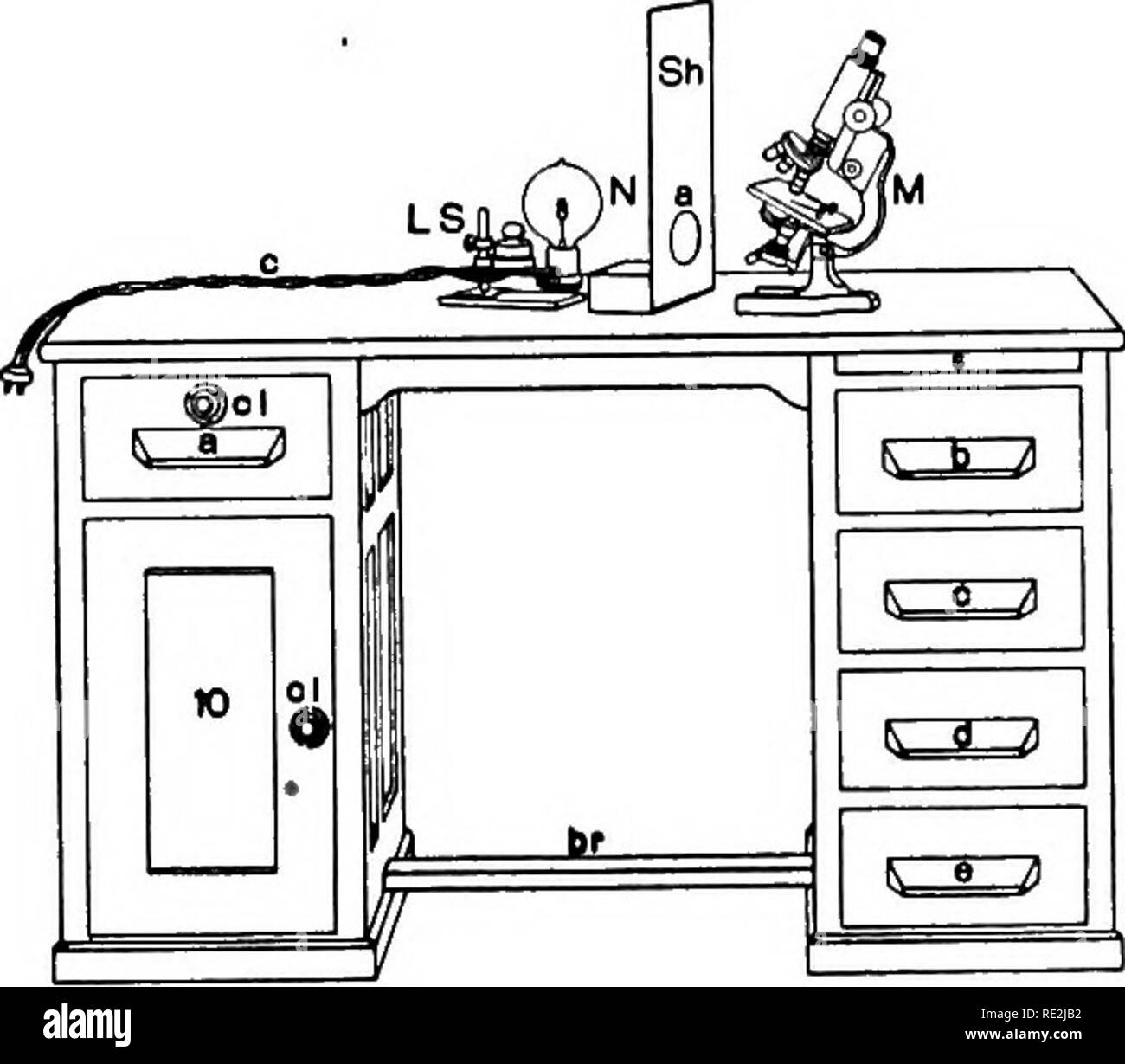 . The microscope; an introduction to microscopic methods and to ...