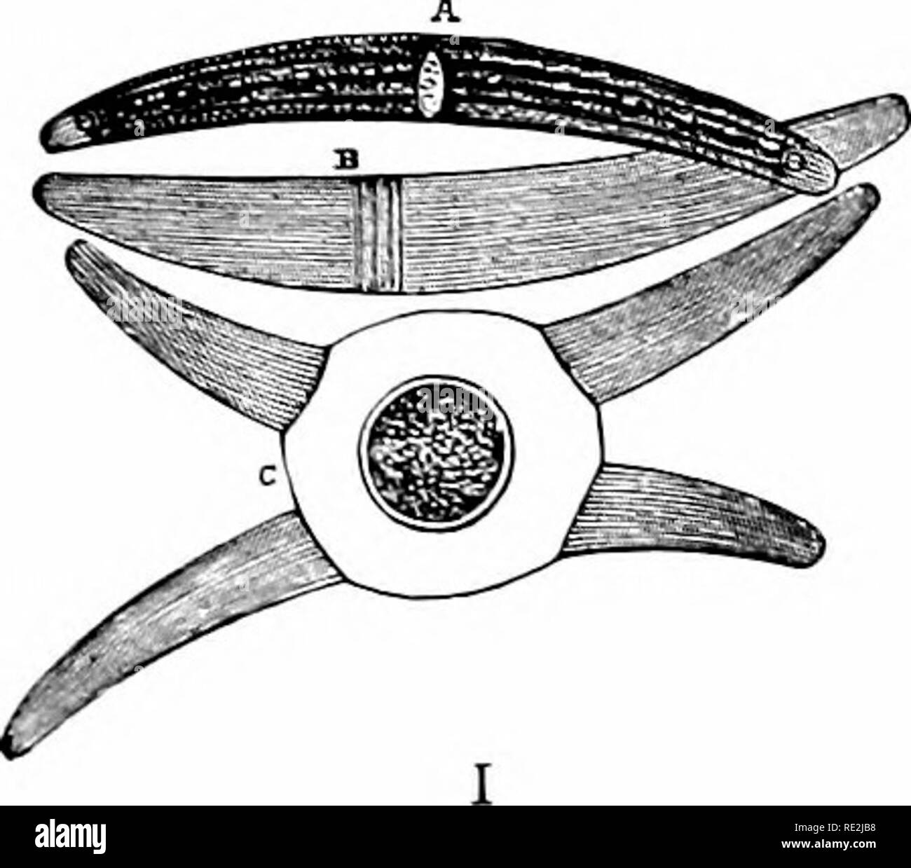 Looking under the microscope Black and White Stock Photos & Images - Alamy