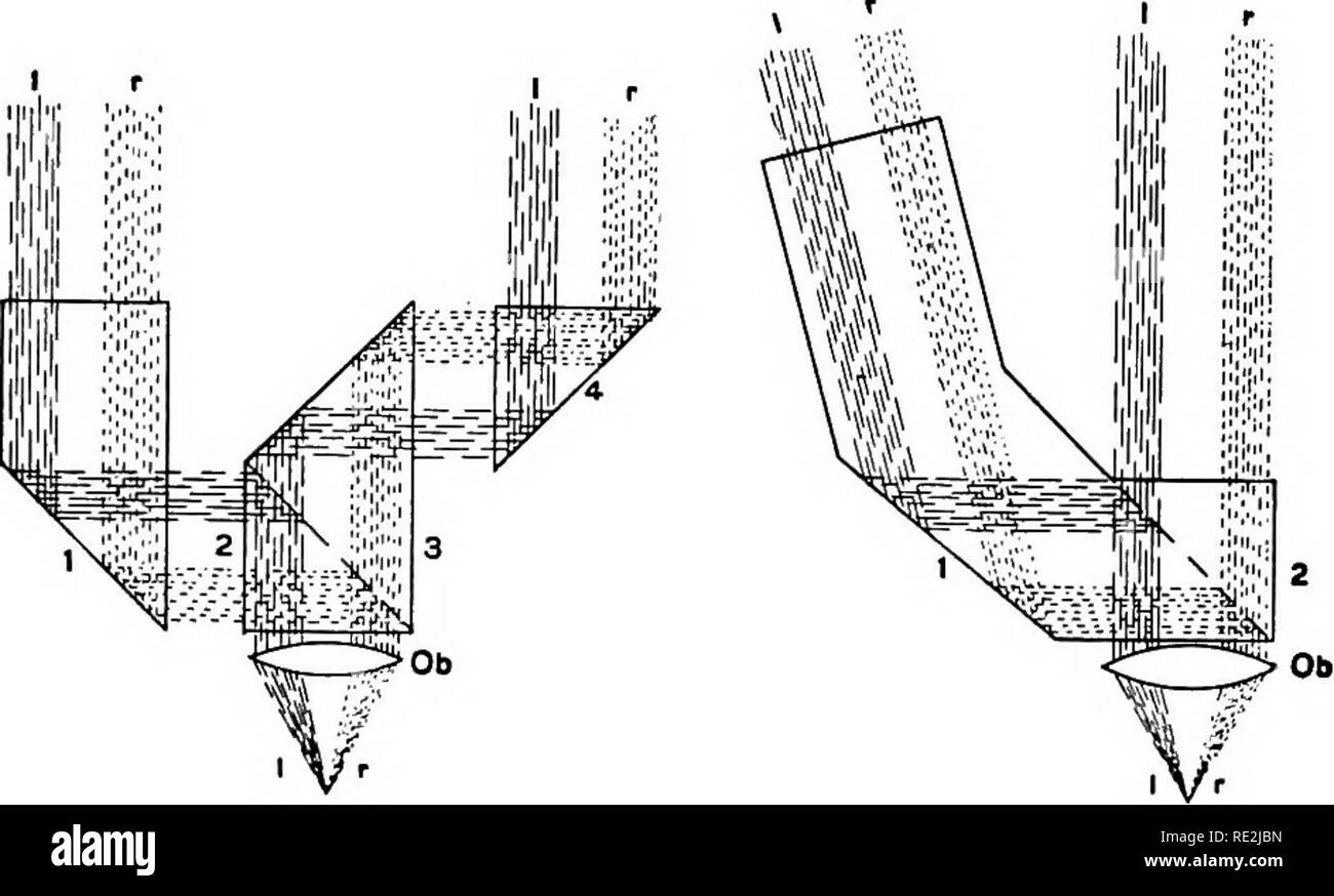 Monocular microscopes hi-res stock photography and images - Alamy