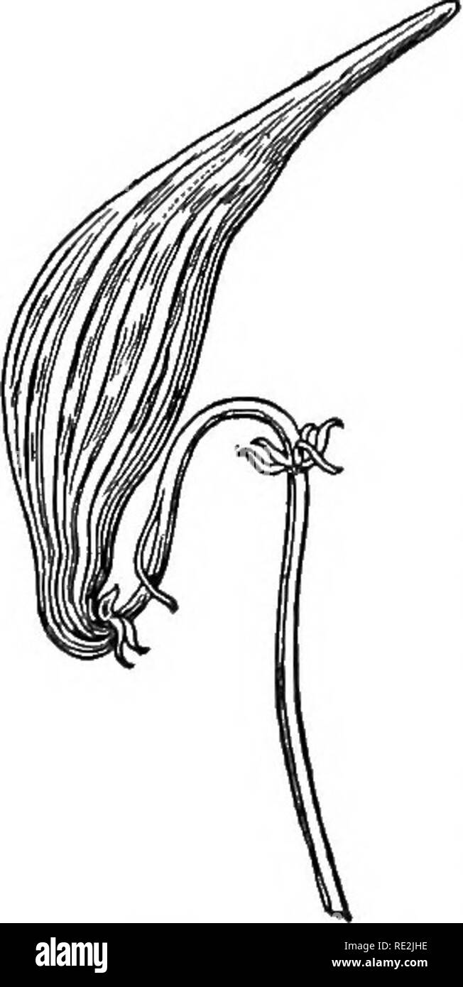 Modified side pods Black and White Stock Photos & Images - Alamy