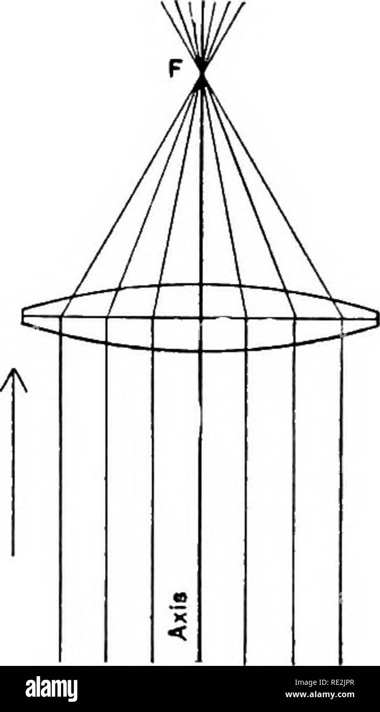 . The microscope; an introduction to microscopic methods and to ...