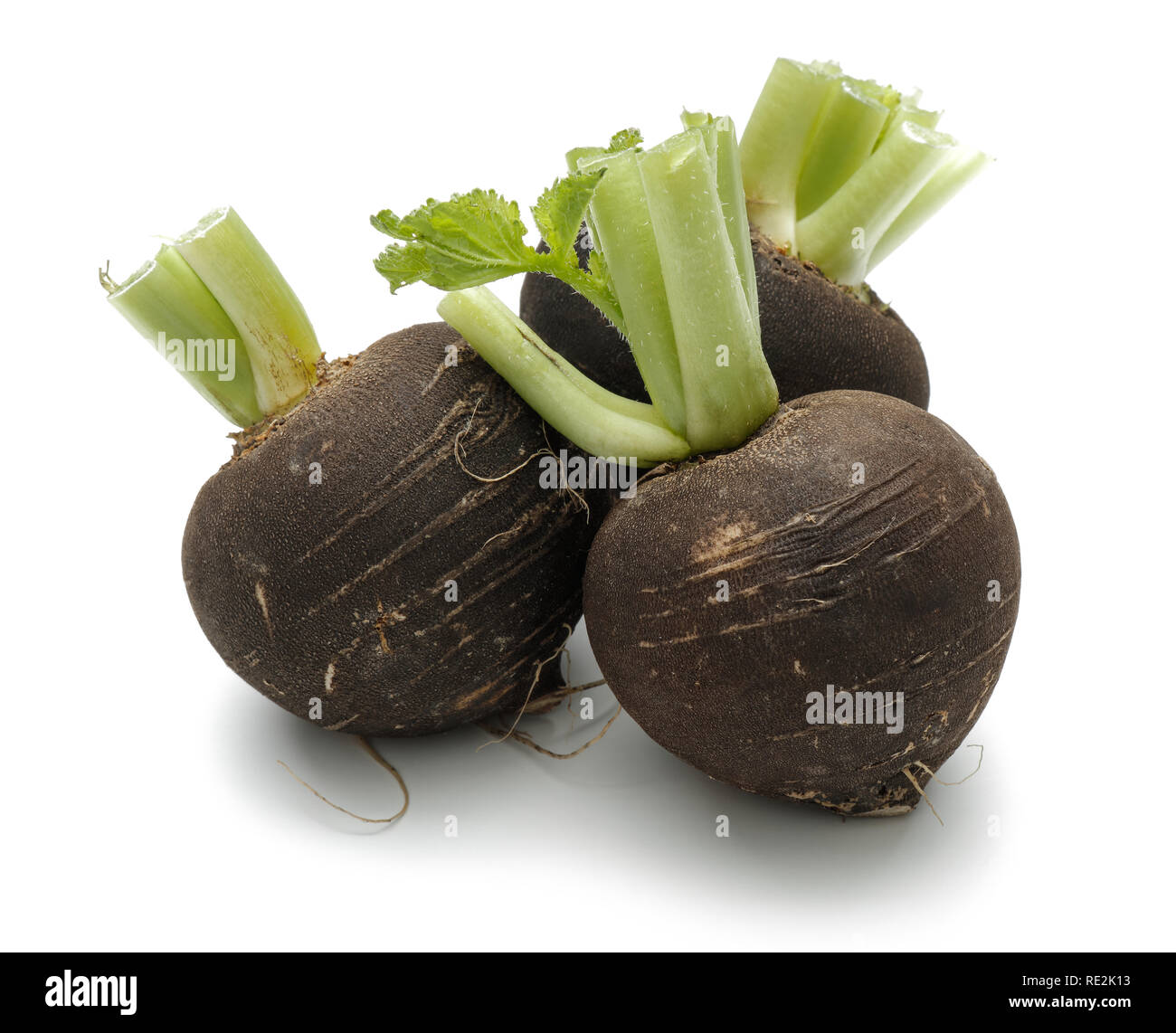 Black radish roots isolated on white background Stock Photo - Alamy