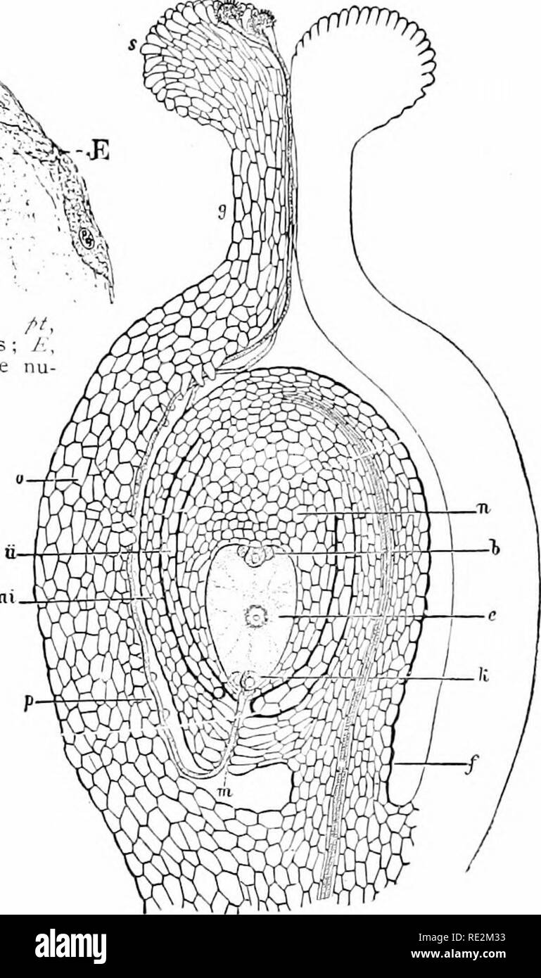 Duggar family Black and White Stock Photos & Images - Alamy