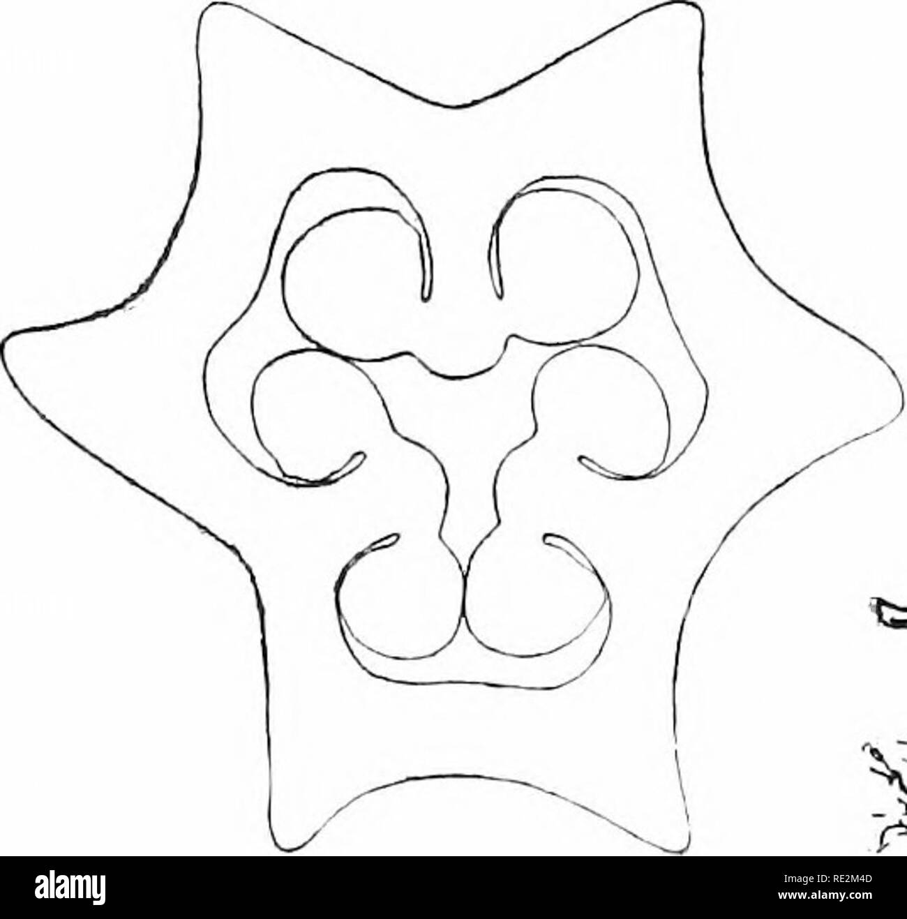 . Elementary botany. Botany. -In trillium the and in dentaria the ...