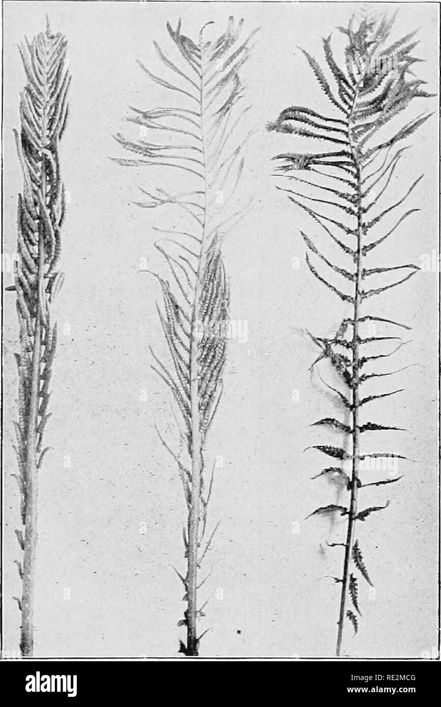 Transformed matter hi-res stock photography and images - Alamy