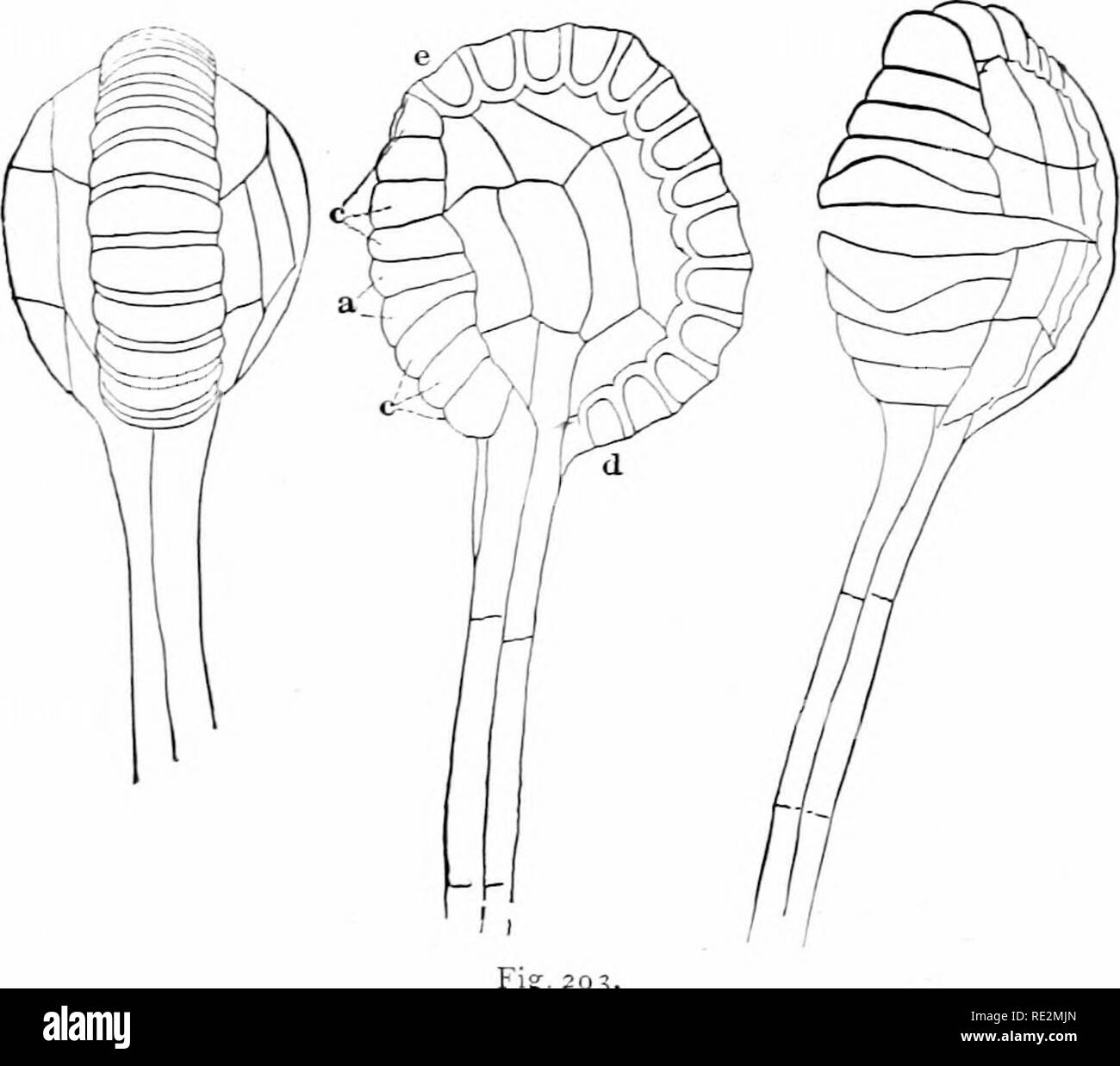 Ends curve inward hi-res stock photography and images - Alamy