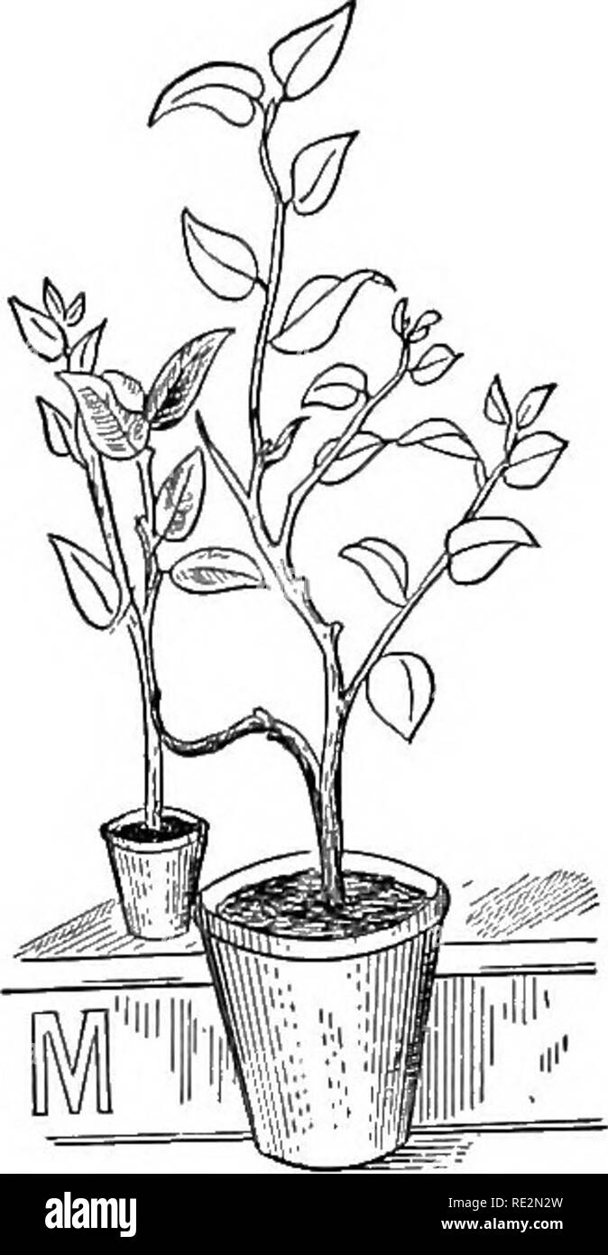 Queer culture Black and White Stock Photos & Images - Alamy