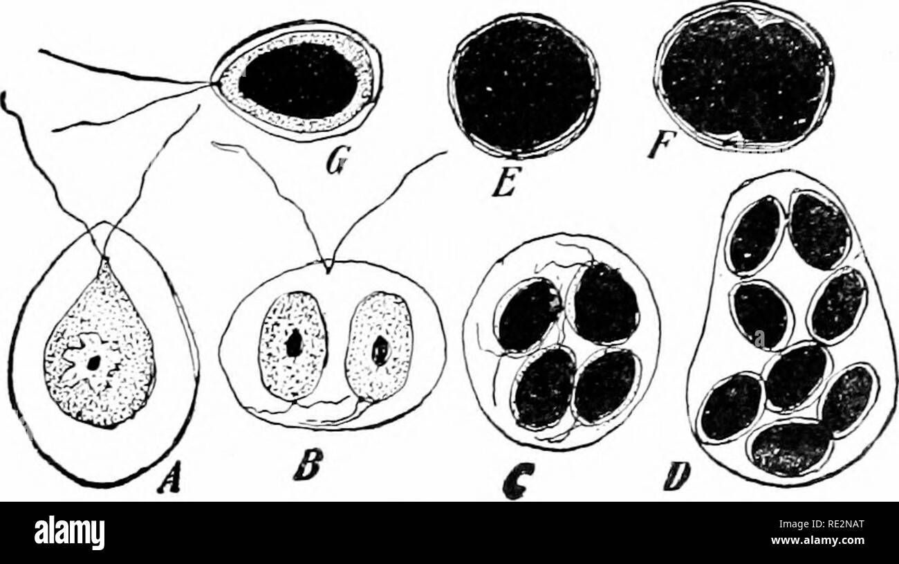 Rock basins Cut Out Stock Images & Pictures - Alamy