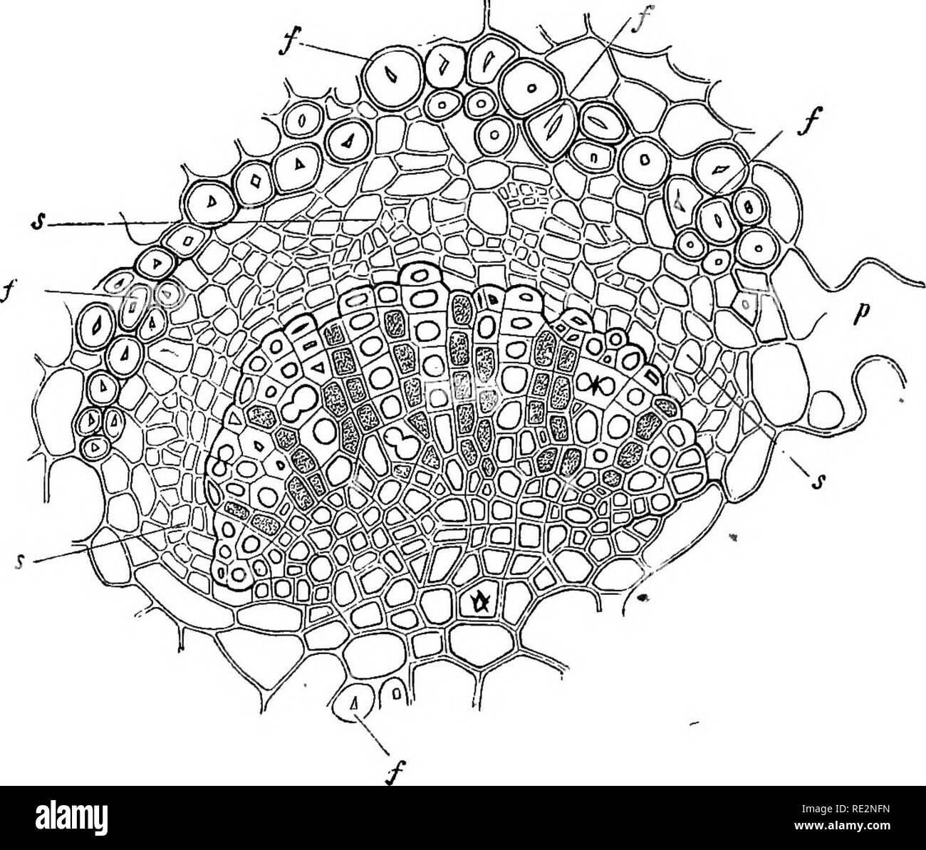 Cross section of borders Cut Out Stock Images & Pictures - Alamy