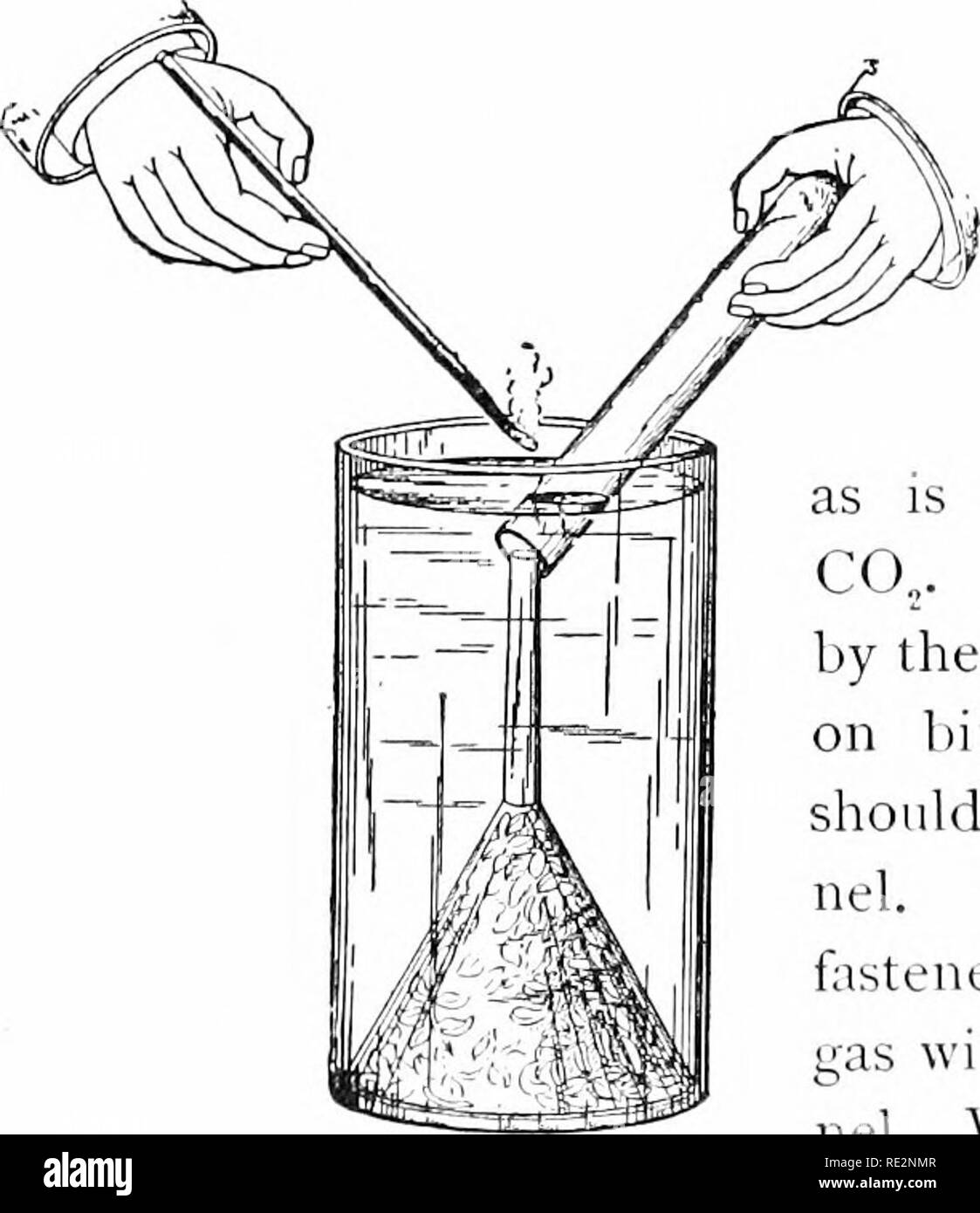 . Elementary botany. Botany. The funnel should be one with a short ...