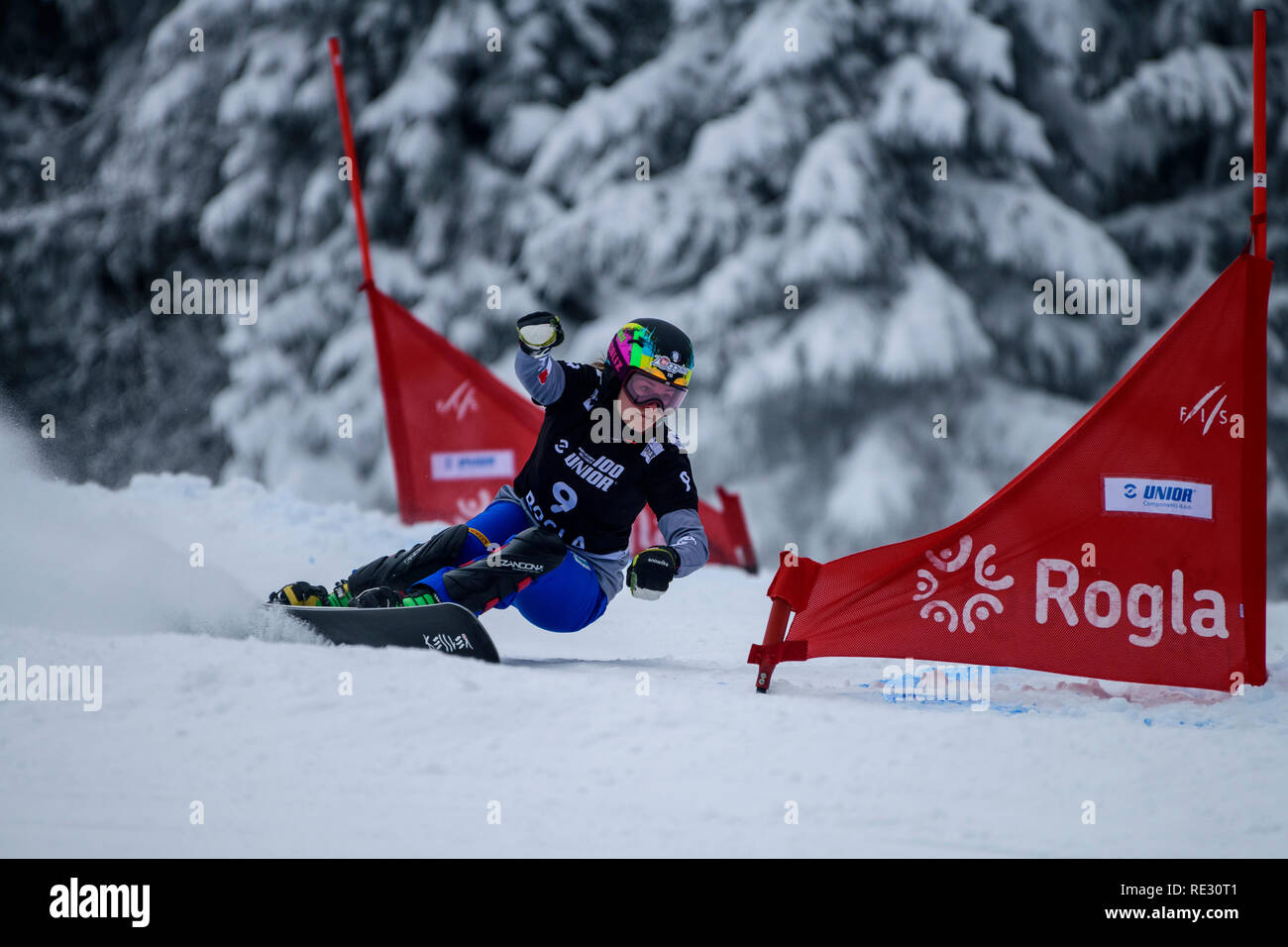 Parallel giant slalom hi-res stock photography and images - Alamy