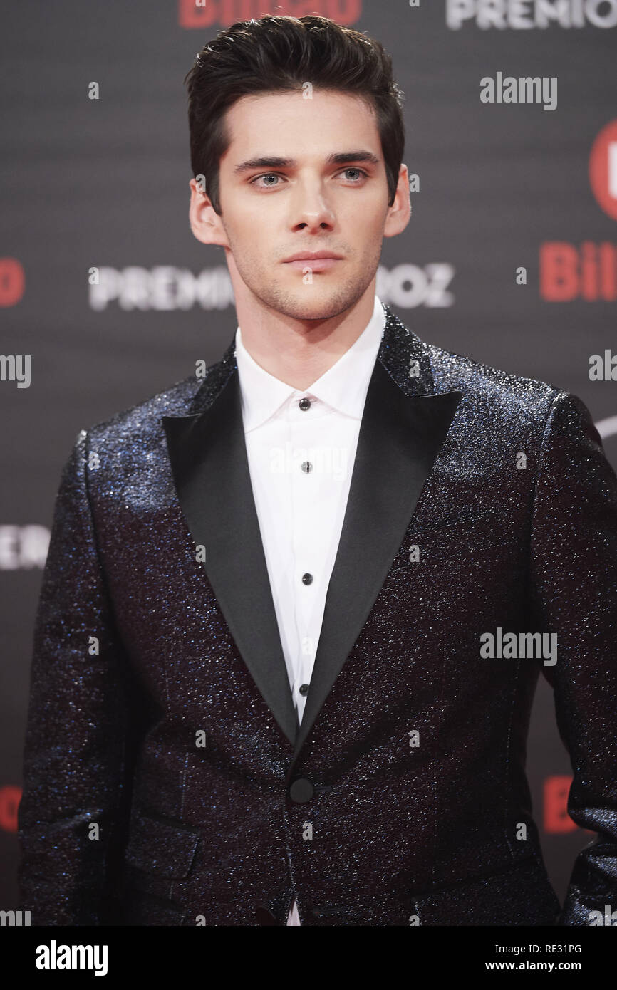 January 19, 2019 - Spain - Alvaro Rico attends the 2019 Feroz Awards at ...