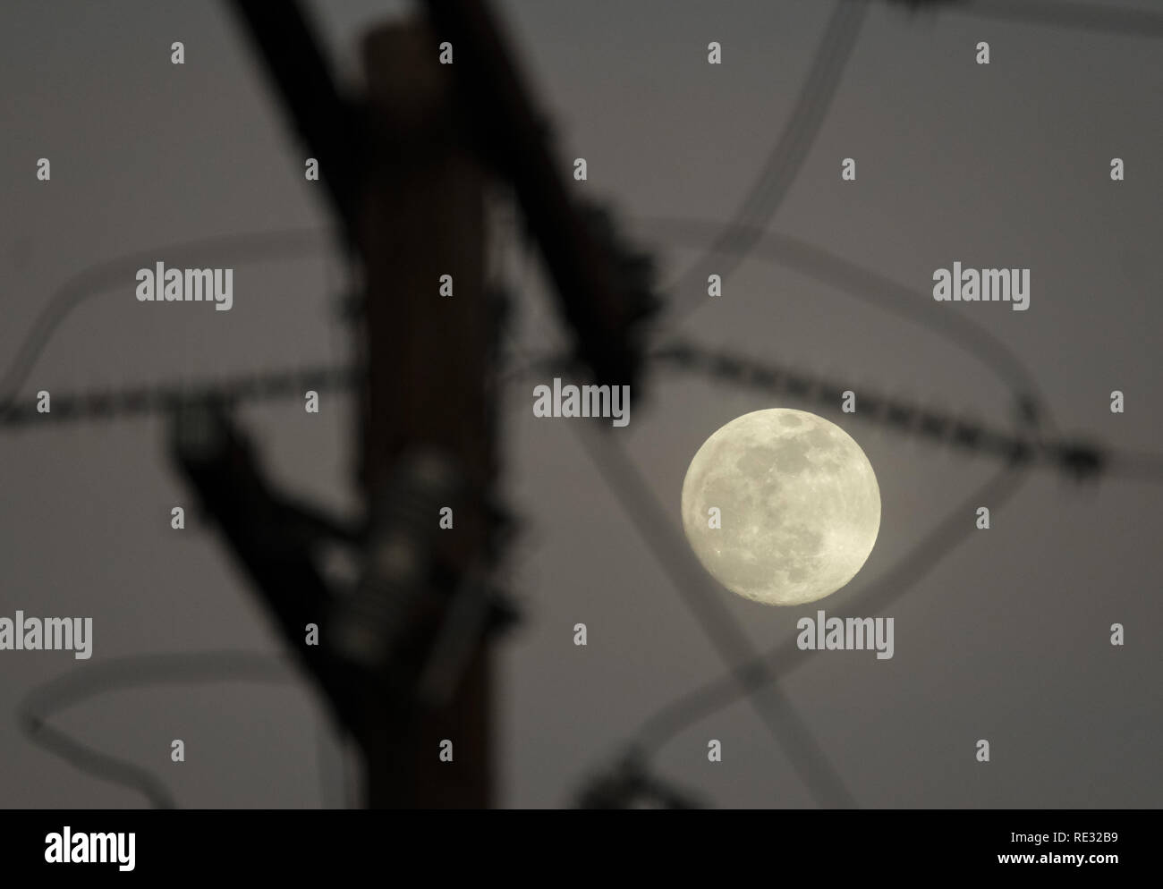 Los Angeles, California, USA. 19th Jan, 2019. The Moon rises behind a ...