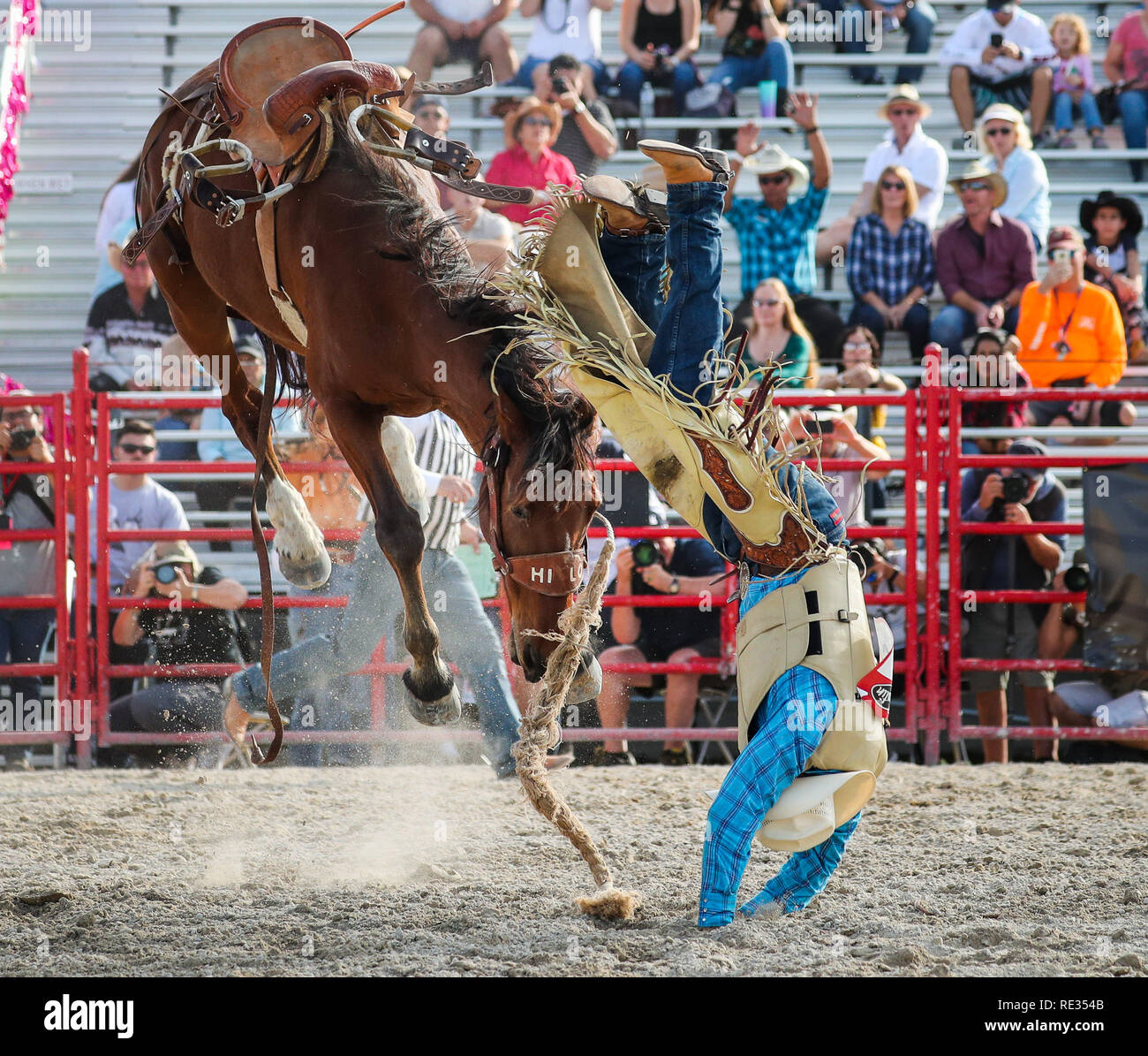 Bucked off hi-res stock photography and images - Alamy