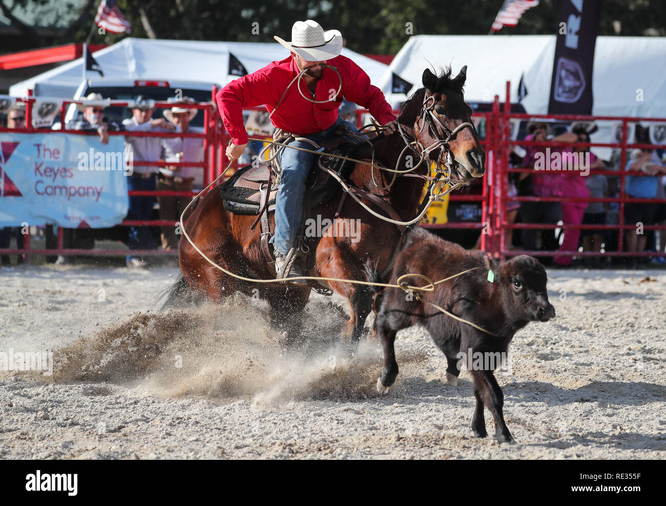 Homestead, Florida, USA. 19th Jan, 2019. Pat Carlton (33) competes in ...