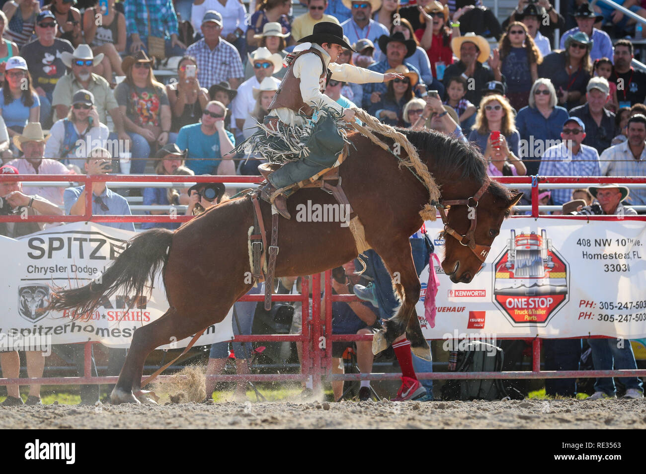 Homestead, Florida, USA. 19th Jan, 2019. Treyson Antonick (7) competes ...