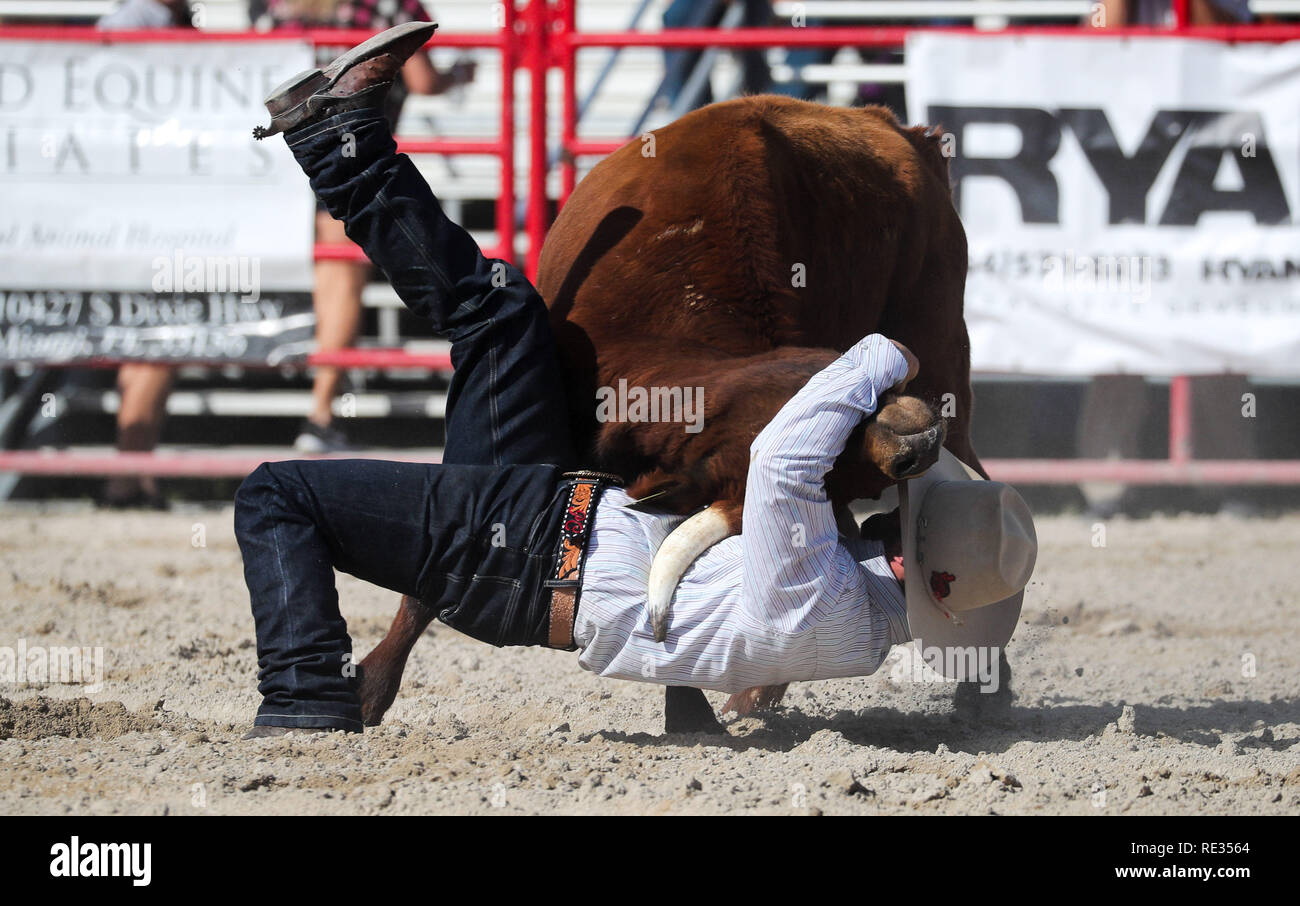 Rod parker hi-res stock photography and images - Alamy