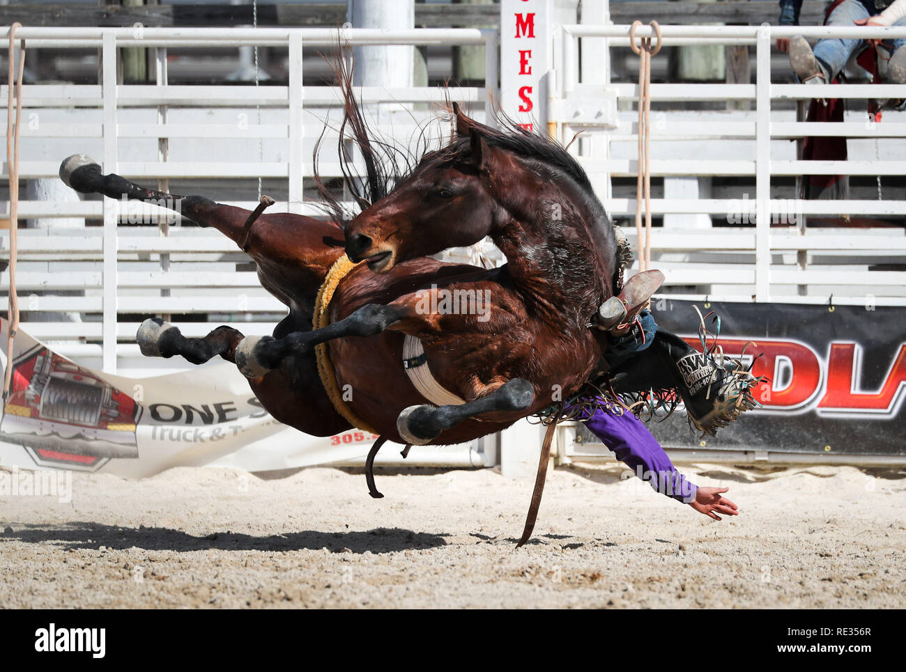 Homestead, Florida, USA. 19th Jan, 2019. Jake Brown (27) falls with the ...