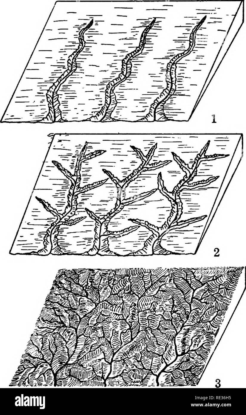 Dominance elevation hi-res stock photography and images - Alamy