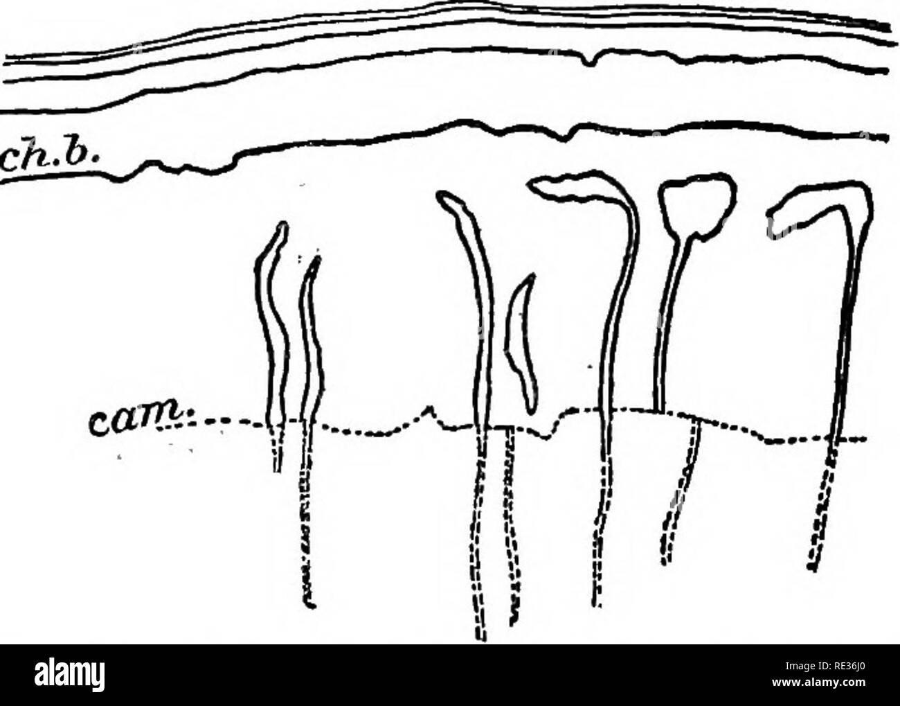 Function desert Black and White Stock Photos & Images - Alamy