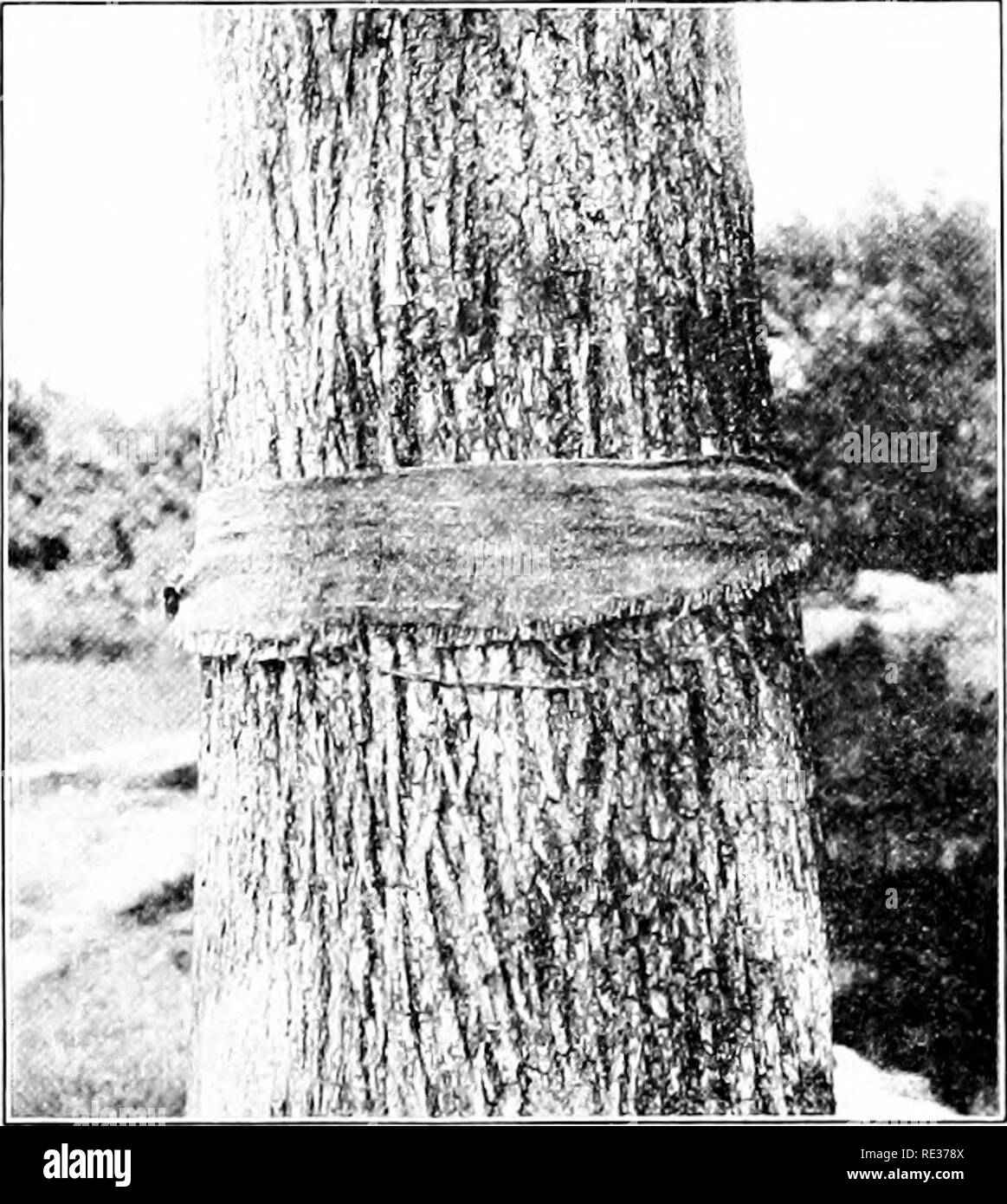 Brown gunny sack Black and White Stock Photos & Images - Alamy