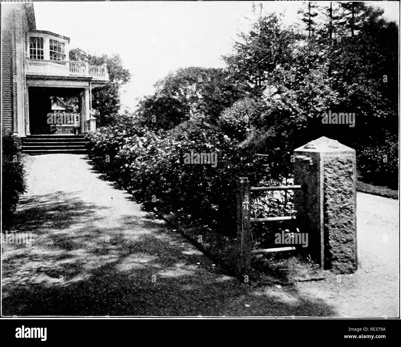 Rosa rugosa rubra winter hi-res stock photography and images - Alamy