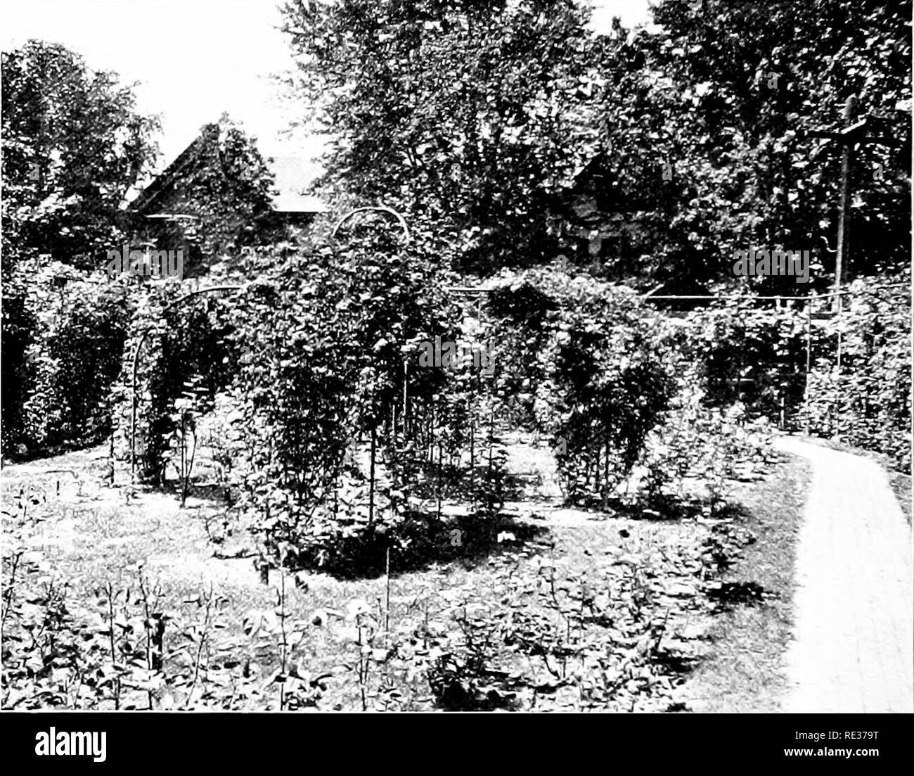 Gat cut out hi-res stock photography and images - Alamy