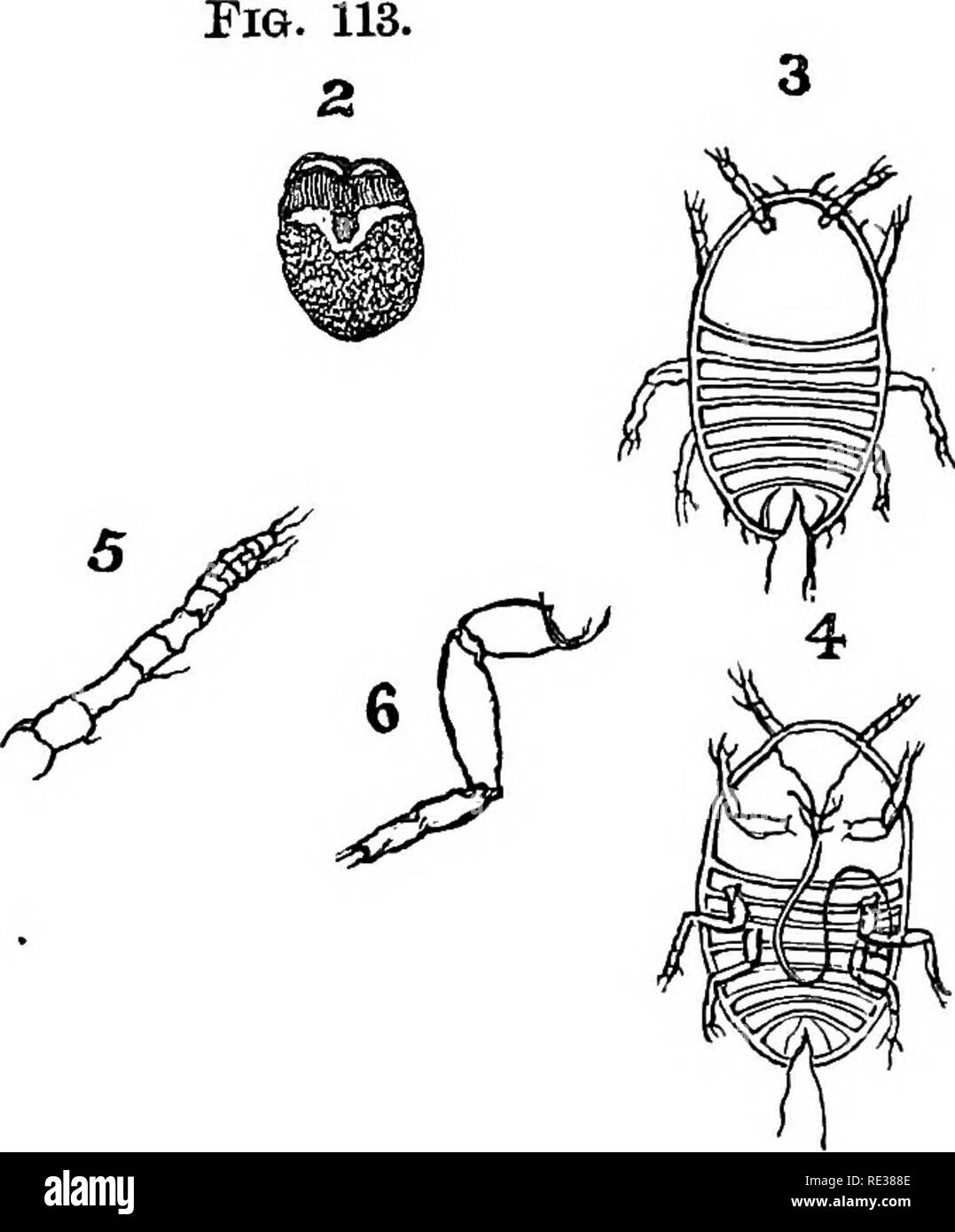 Crawl control Cut Out Stock Images & Pictures - Alamy