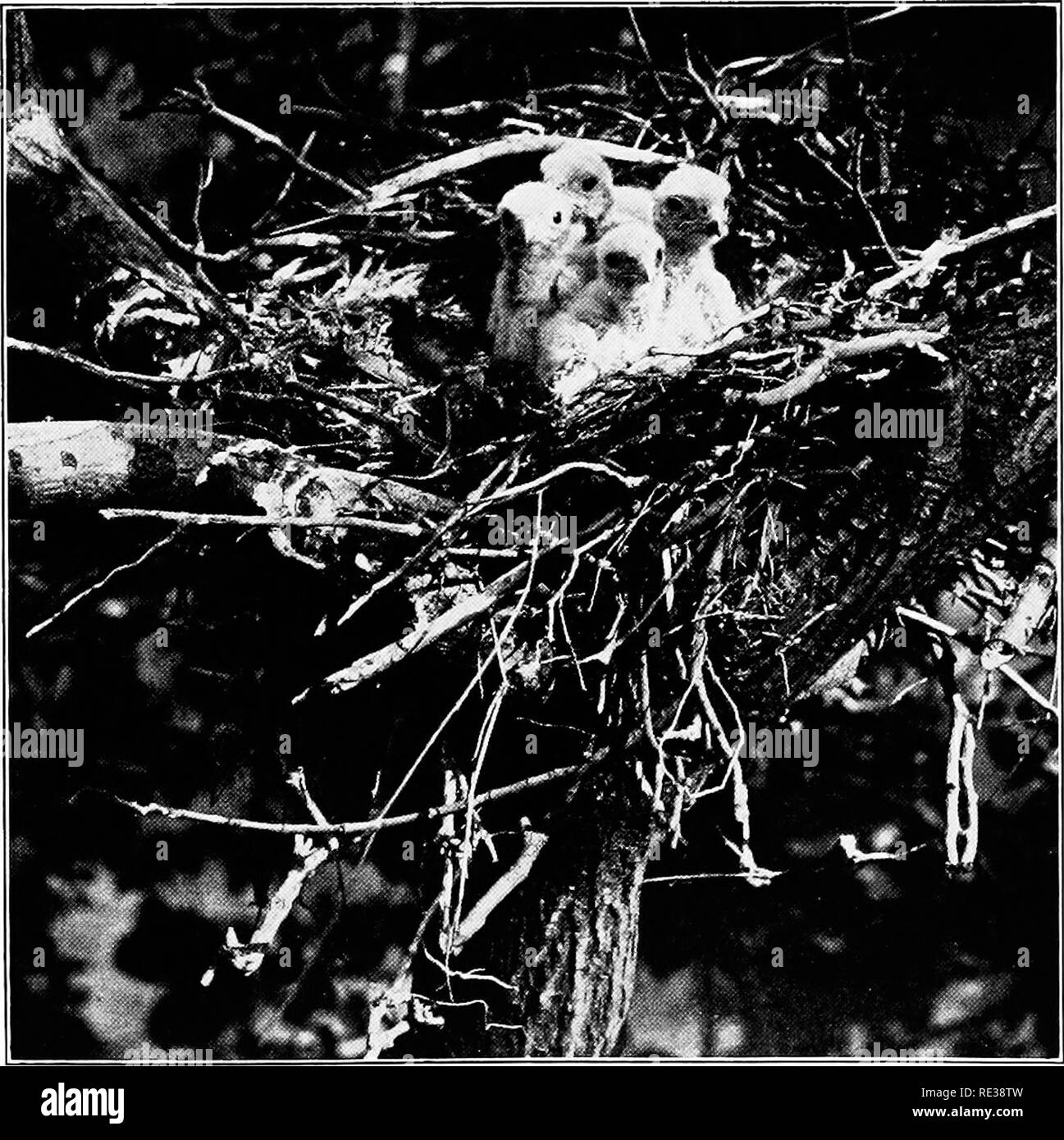 Brooding male Black and White Stock Photos & Images - Alamy