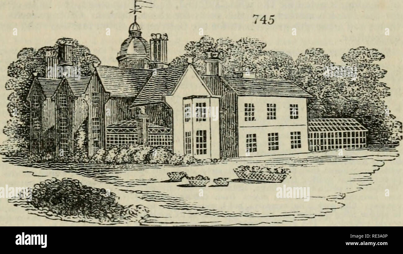 Henham hall hi-res stock photography and images - Alamy