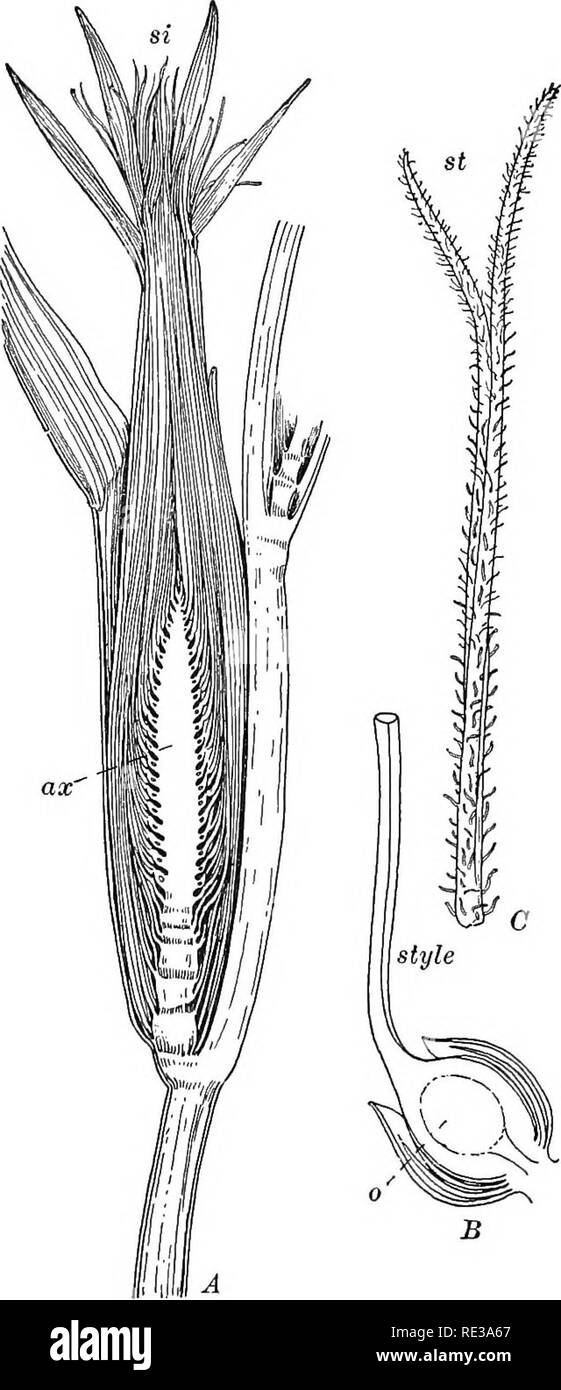 L 127 Cut Out Stock Images & Pictures - Alamy
