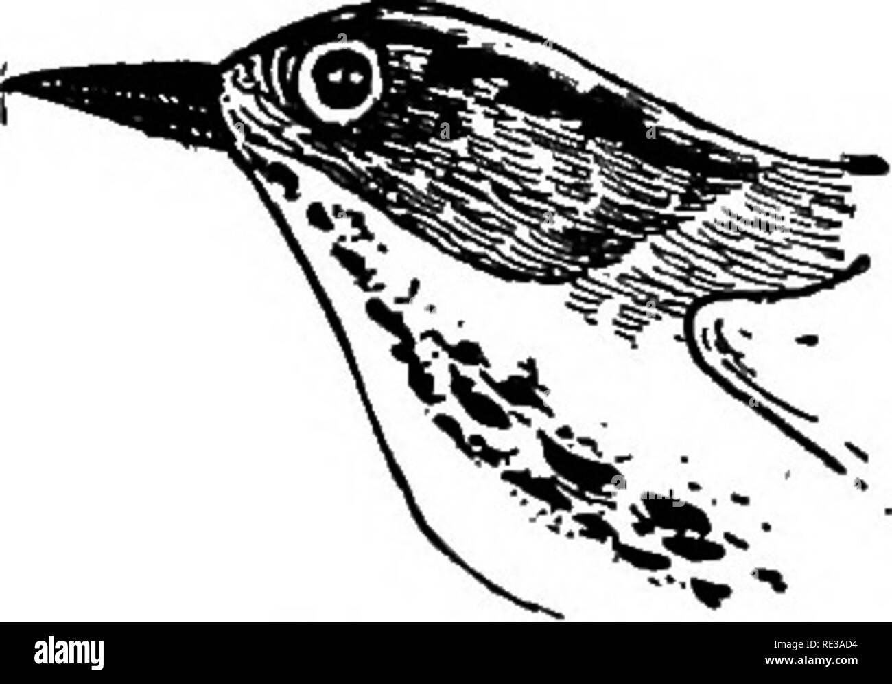 Wet dy hi-res stock photography and images - Alamy