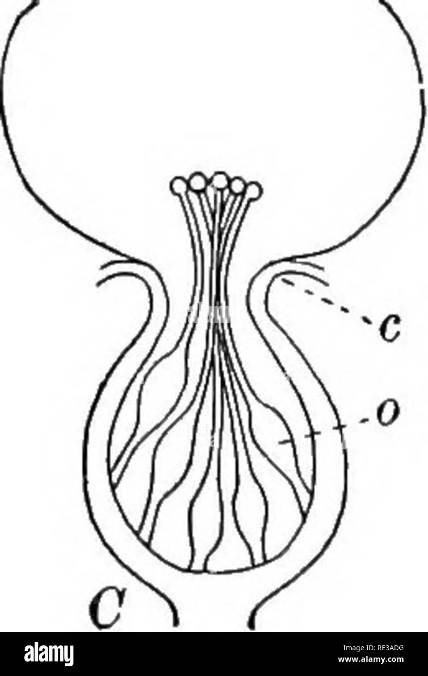 Ge s Cut Out Stock Images & Pictures - Alamy