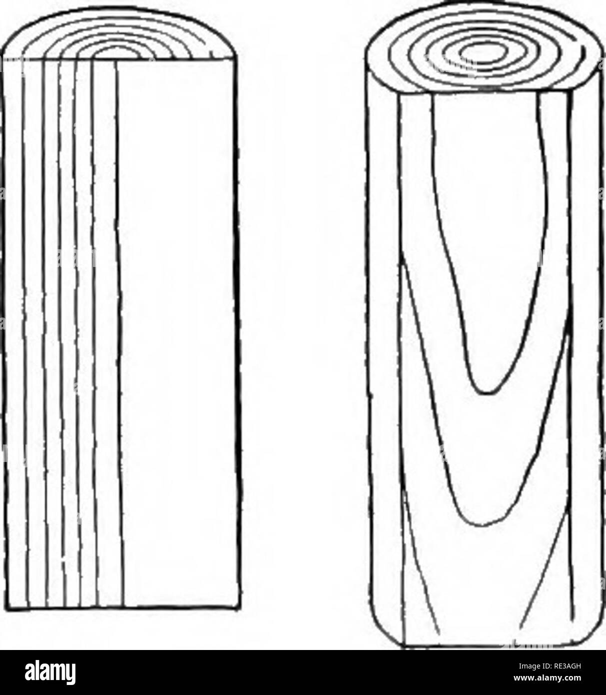 Wood is prized timber Black and White Stock Photos & Images - Alamy