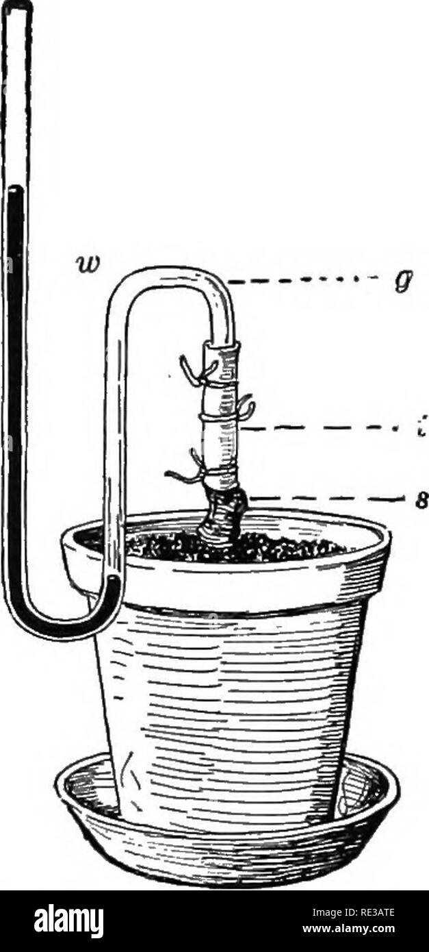 Moist blue litmus paper hi-res stock photography and images - Alamy