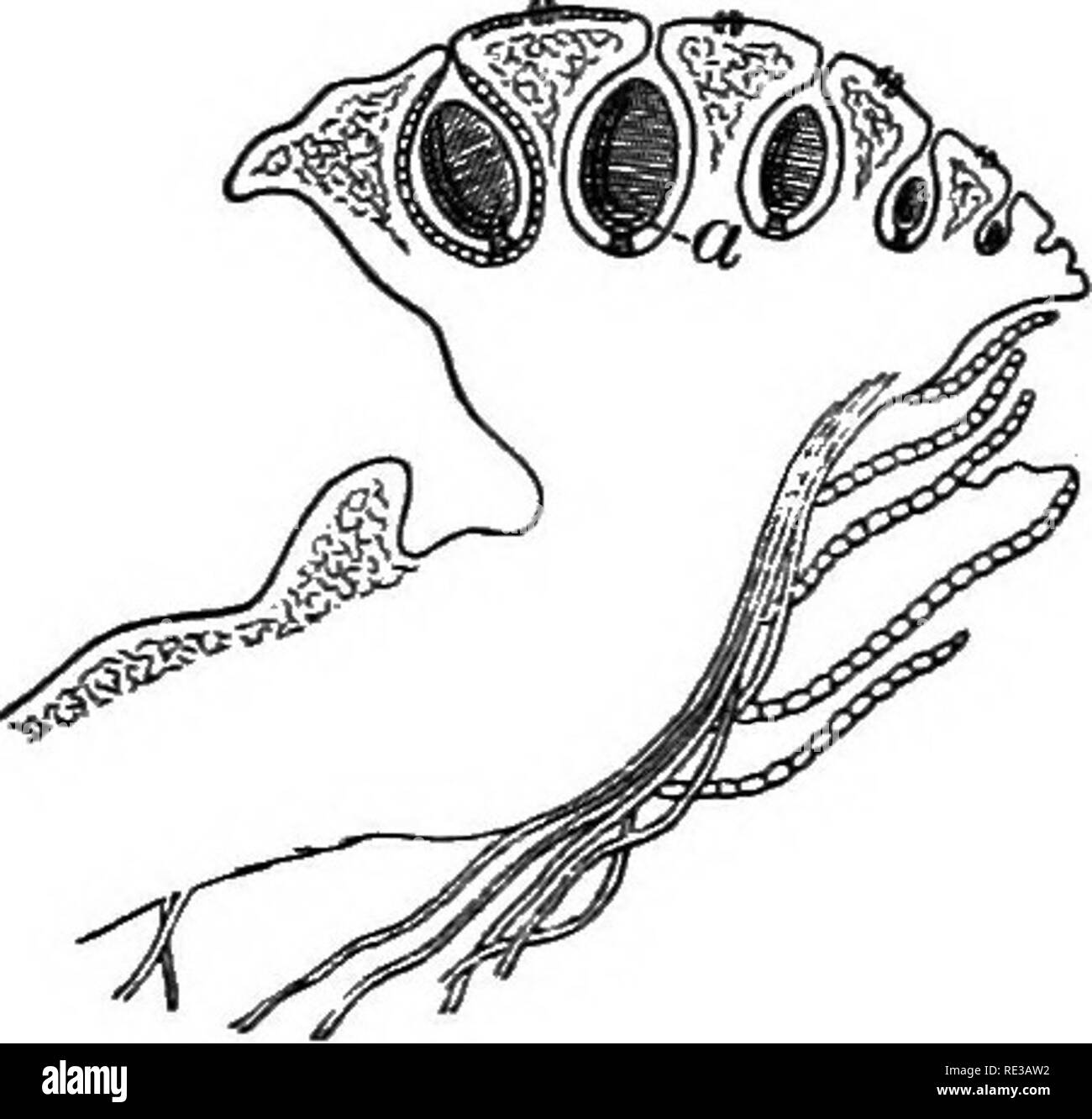 Marginal cycle Black and White Stock Photos & Images - Alamy