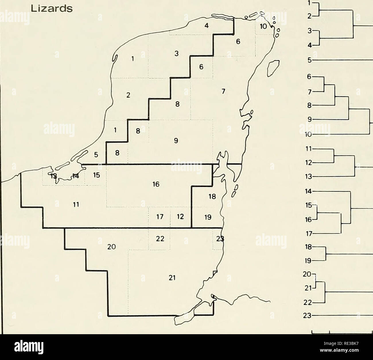 Species number map hi-res stock photography and images - Alamy