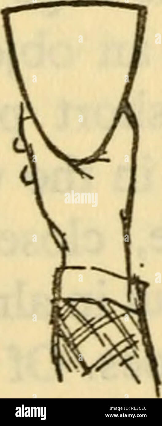 Echolocation sound waves hi-res stock photography and images - Alamy