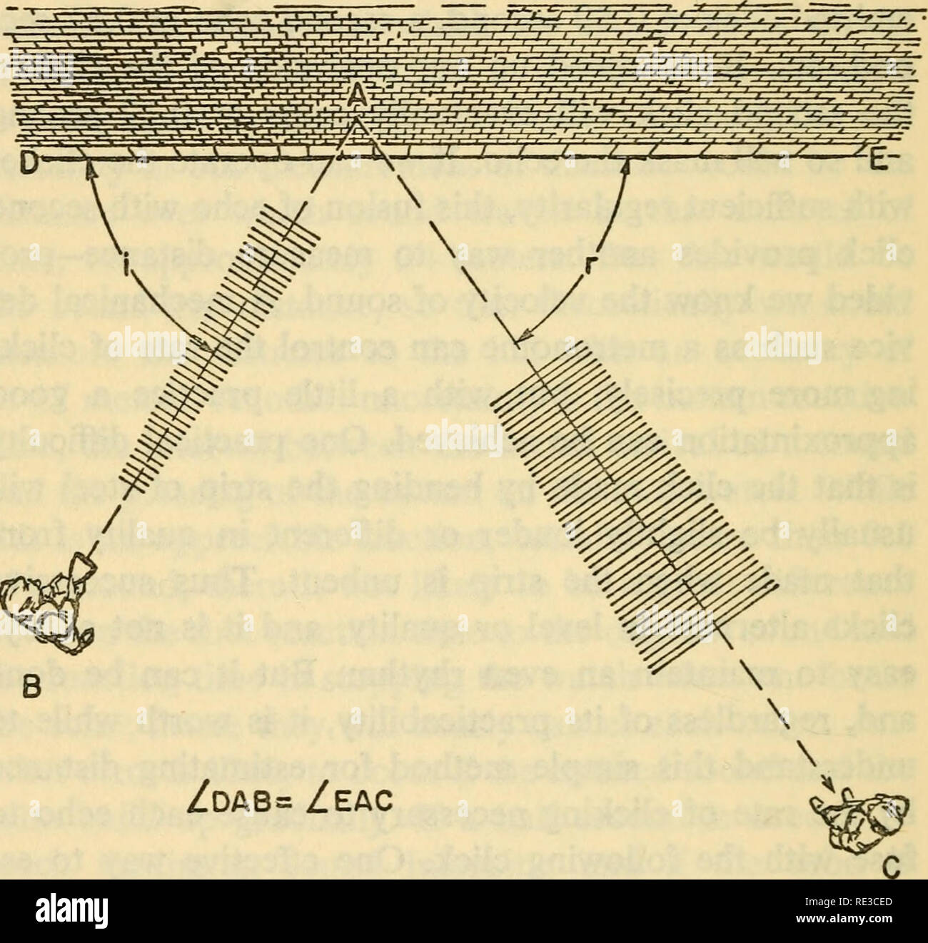 Echolocation sound waves hi-res stock photography and images - Alamy