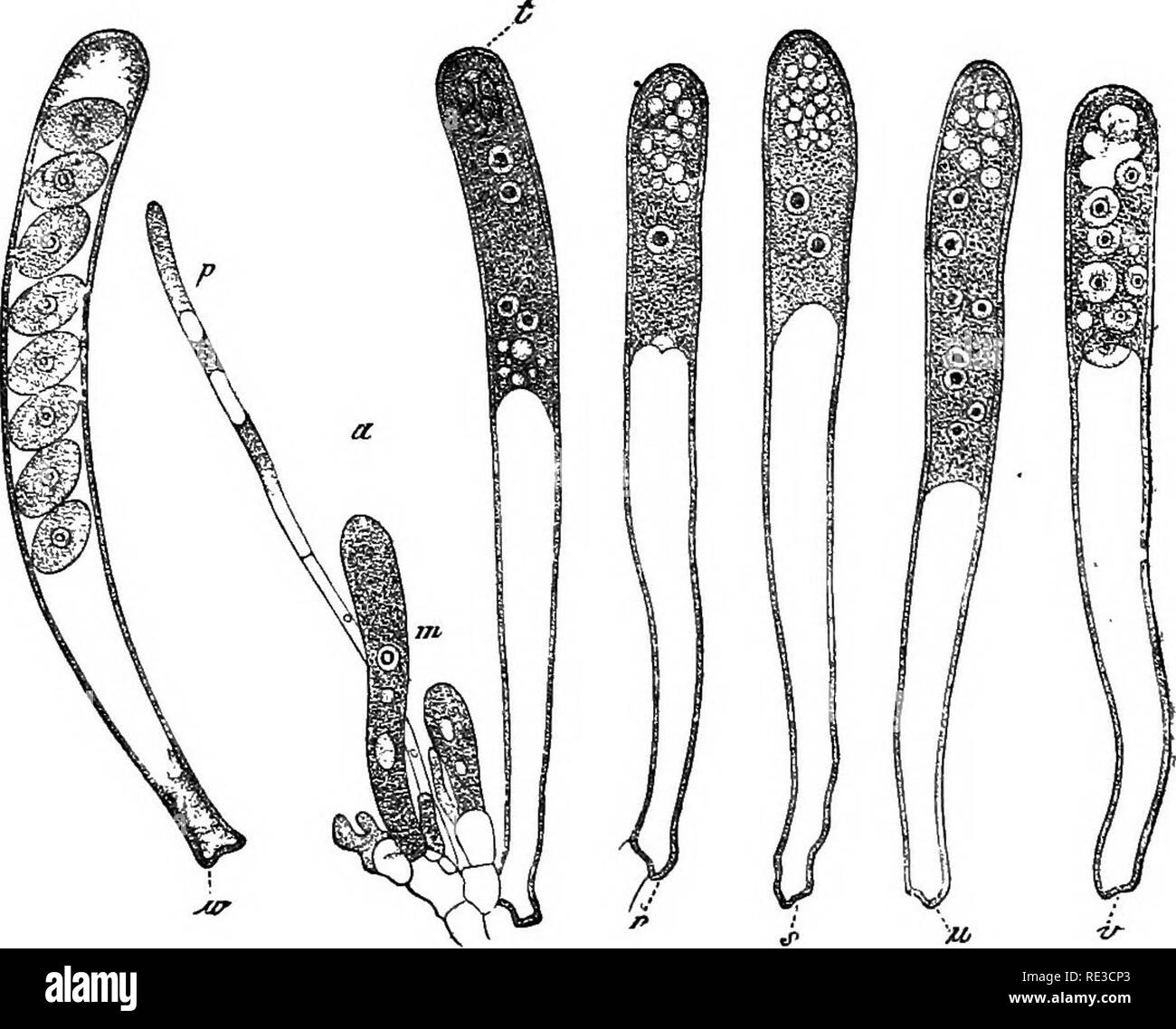 Division de formation Black and White Stock Photos & Images - Alamy