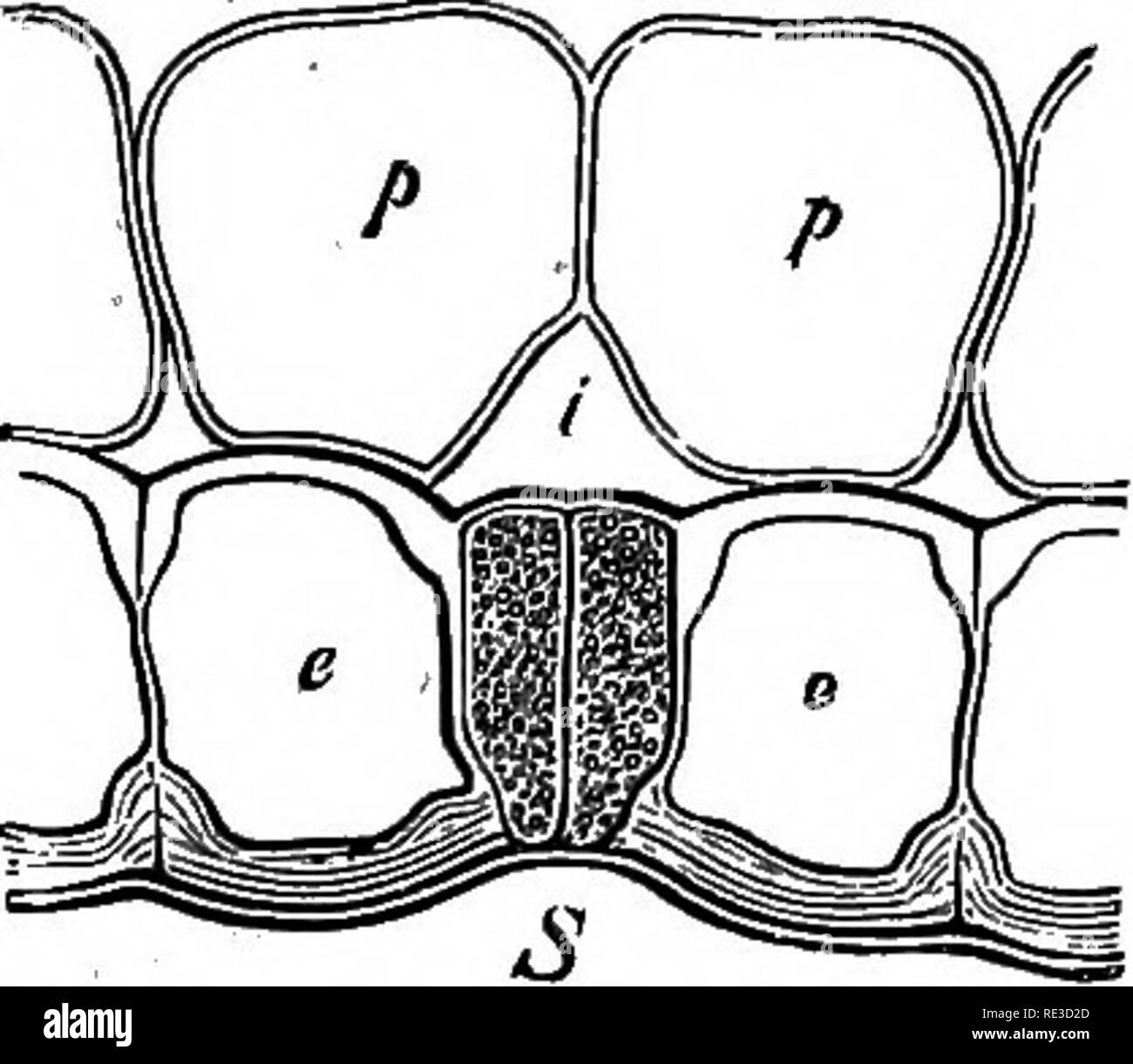 Turn c shaped inwards hi-res stock photography and images - Alamy