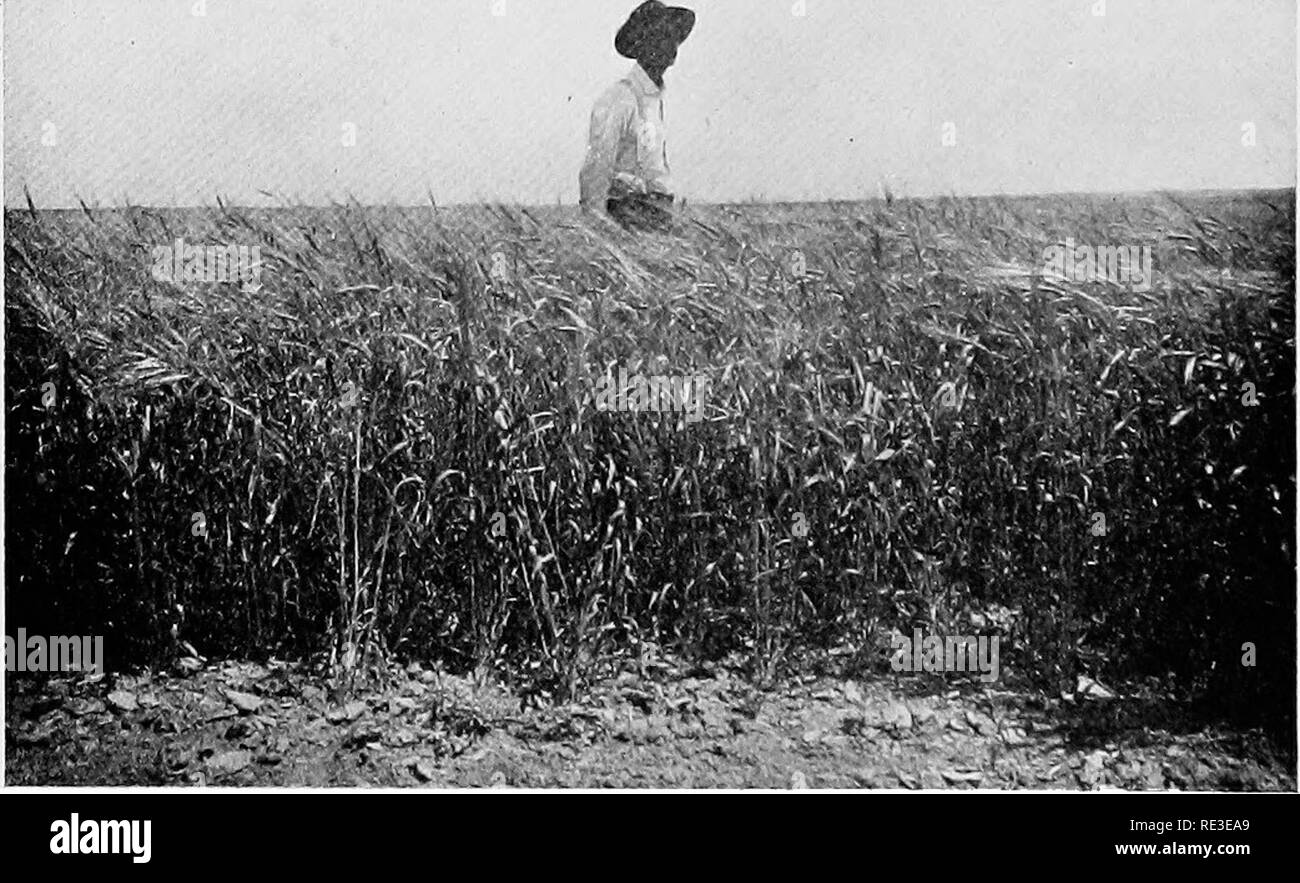 Summer fallowing Black and White Stock Photos & Images - Alamy