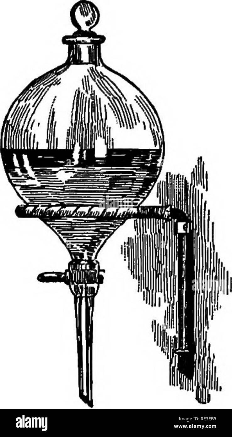 Chemosynthesis Diagram For Kids