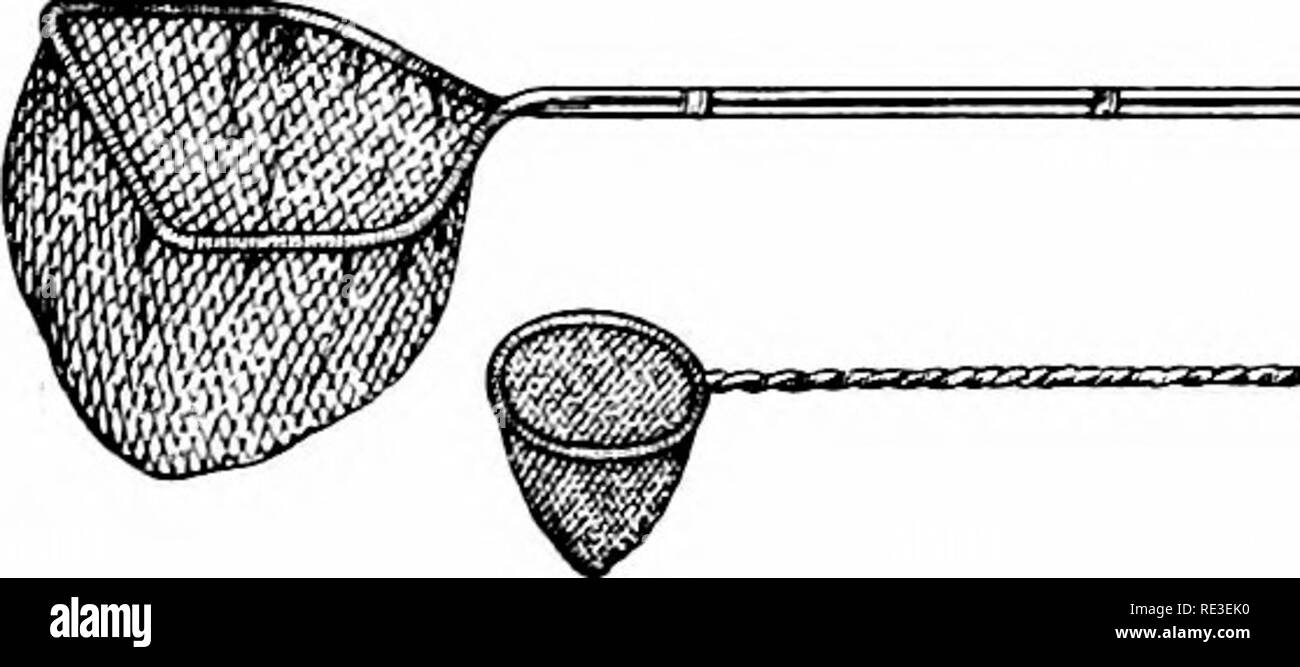 Catch a fish with net from aquarium hi-res stock photography and images ...