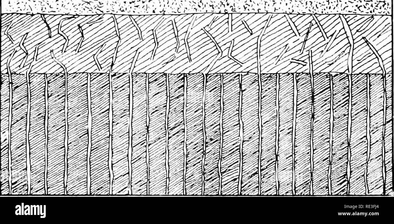 Furrow slice Black and White Stock Photos & Images - Alamy