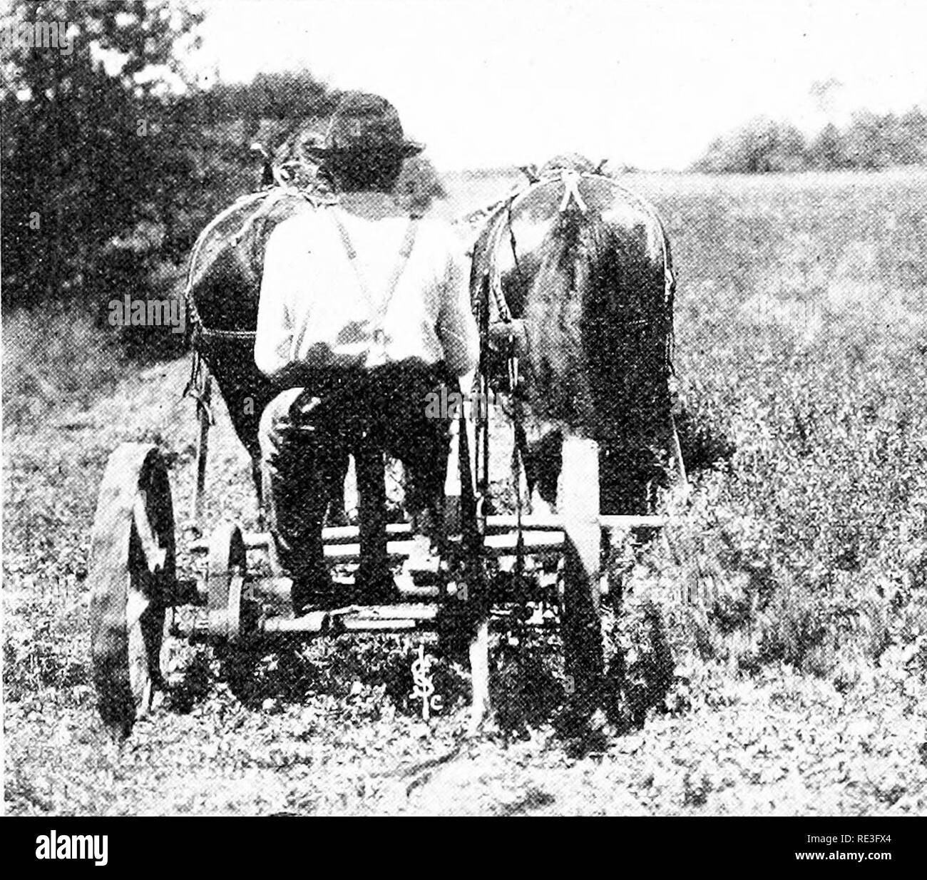 Continuous cropping Black and White Stock Photos & Images - Alamy