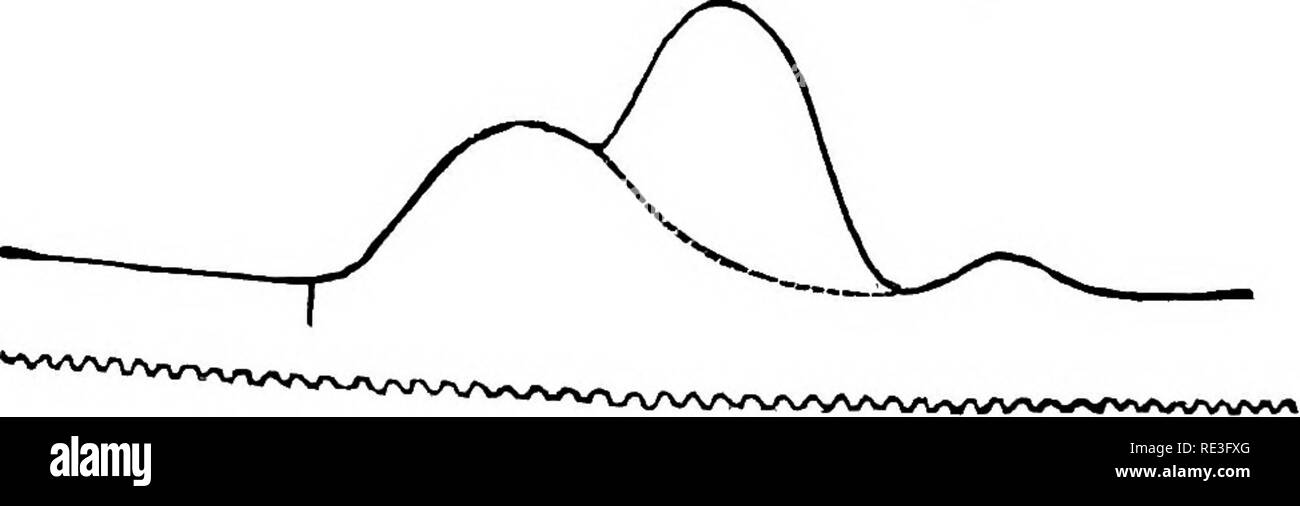 Study latency period hi-res stock photography and images - Alamy