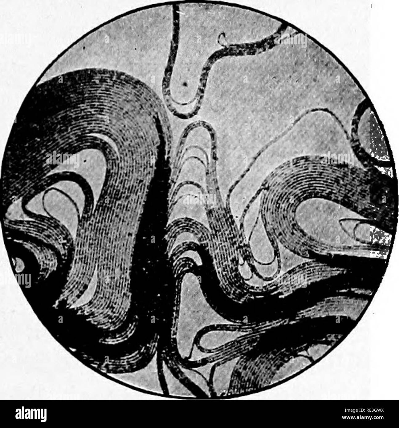 Micro coils hi-res stock photography and images - Alamy