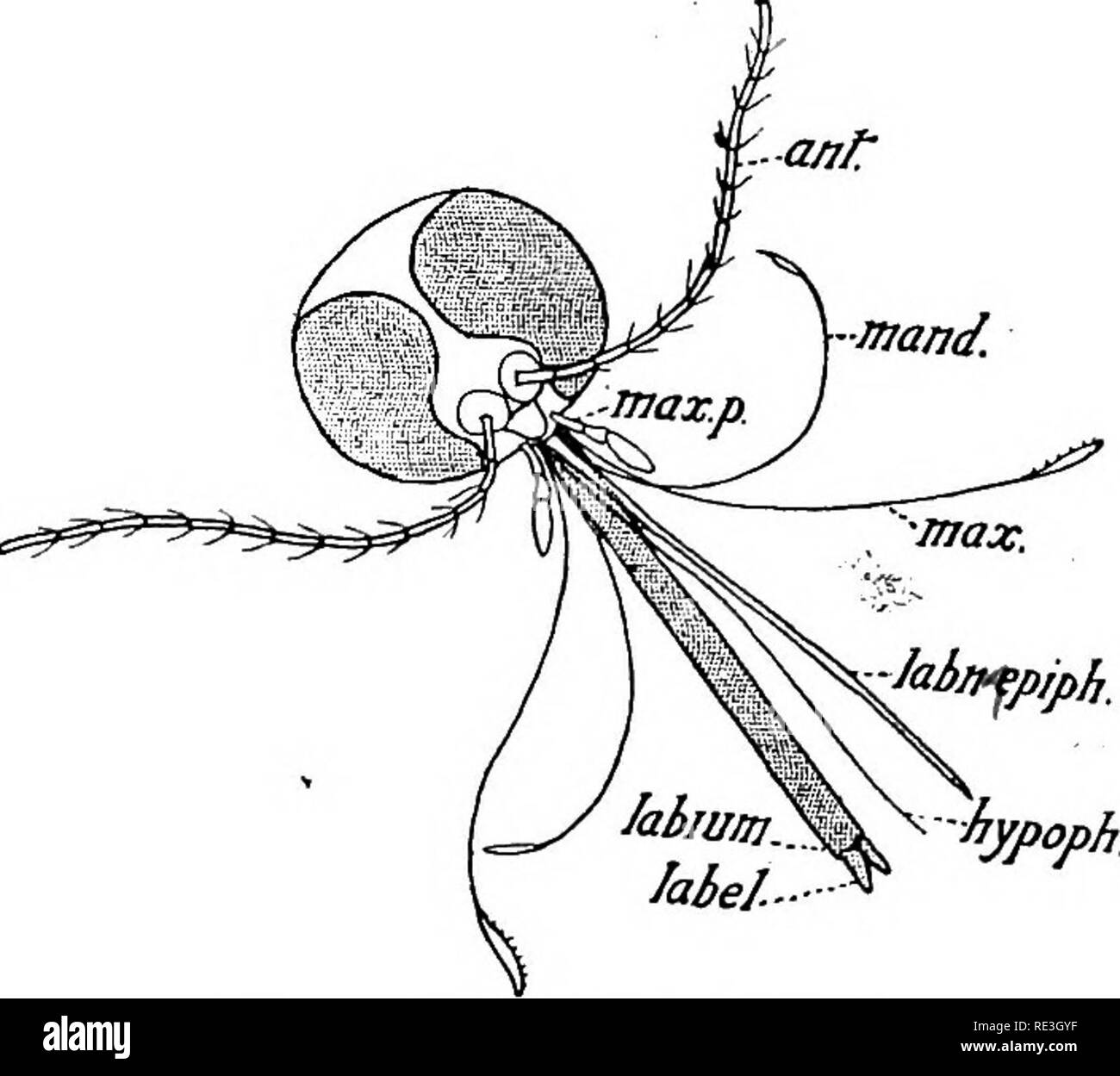 Section 35 order Cut Out Stock Images & Pictures - Alamy