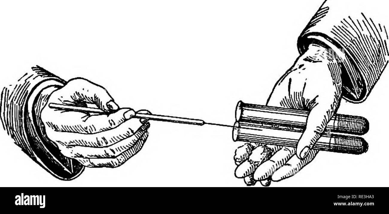 Micro fourth third hi-res stock photography and images - Alamy